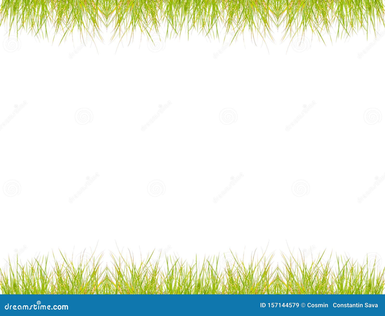Green Grass Frame Over White Stock Illustration - Illustration of ...