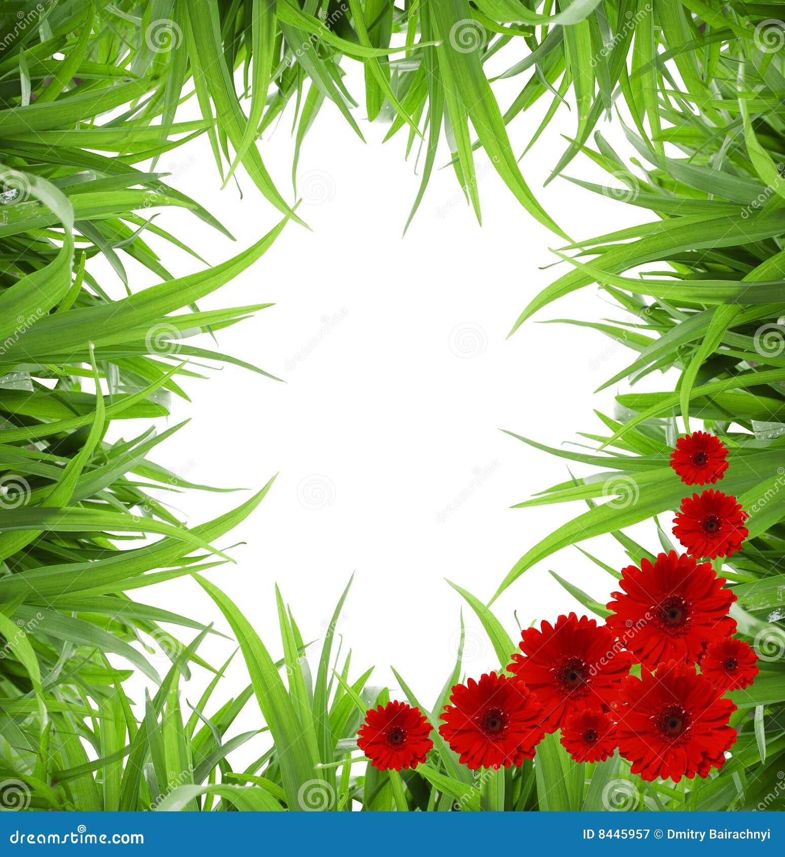 Isolated Green Grass and Flowers Stock Image - Image of environmental ...