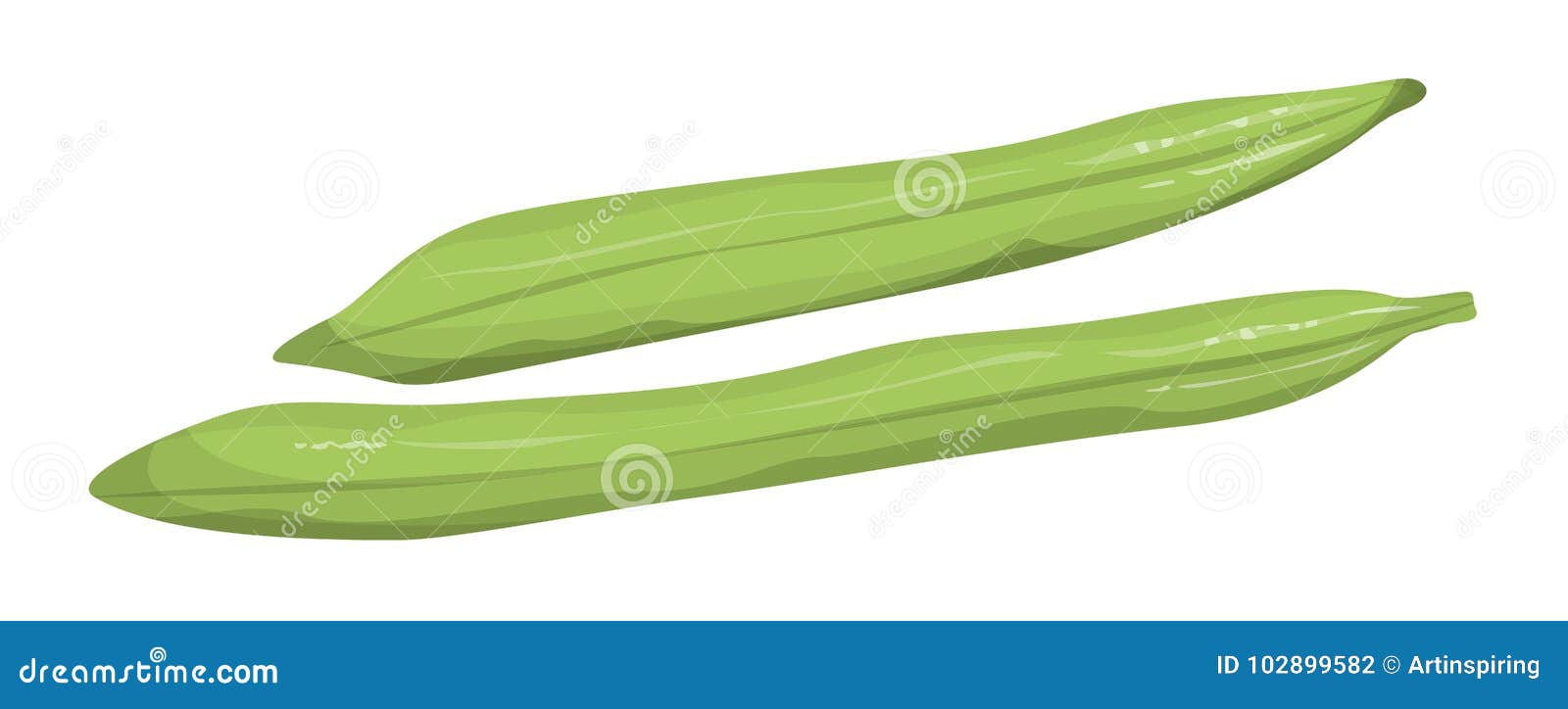 Runner Beans Stock Illustrations – 75 Runner Beans Stock Illustrations ...