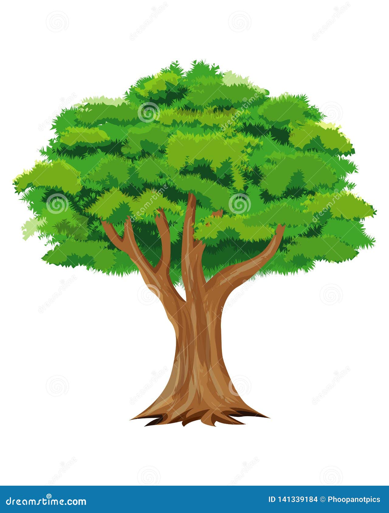 Isolated green tree stock vector. Illustration of forest - 141339184