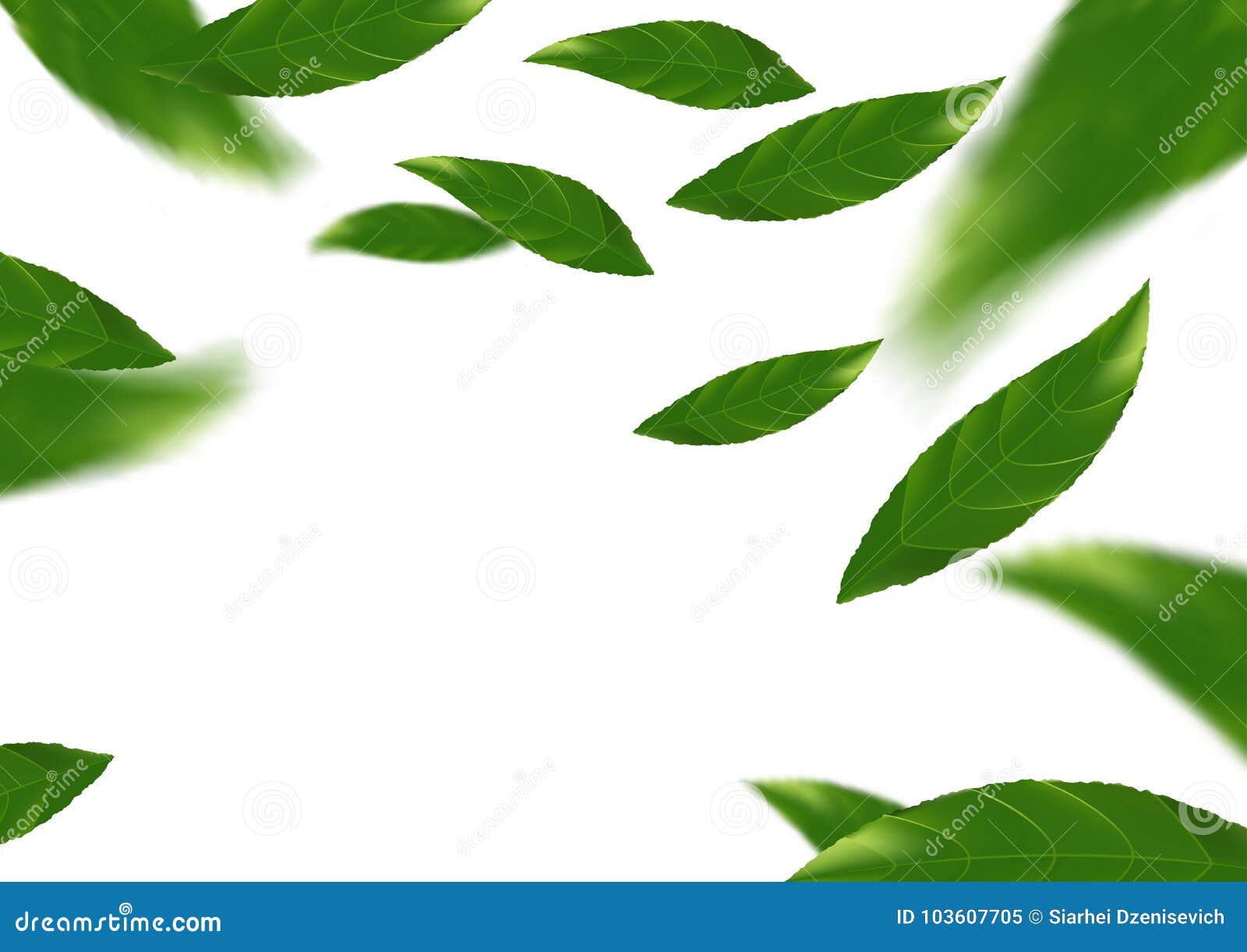 Isolated Green Tree Leaves Flying Over White Background Stock Vector ...