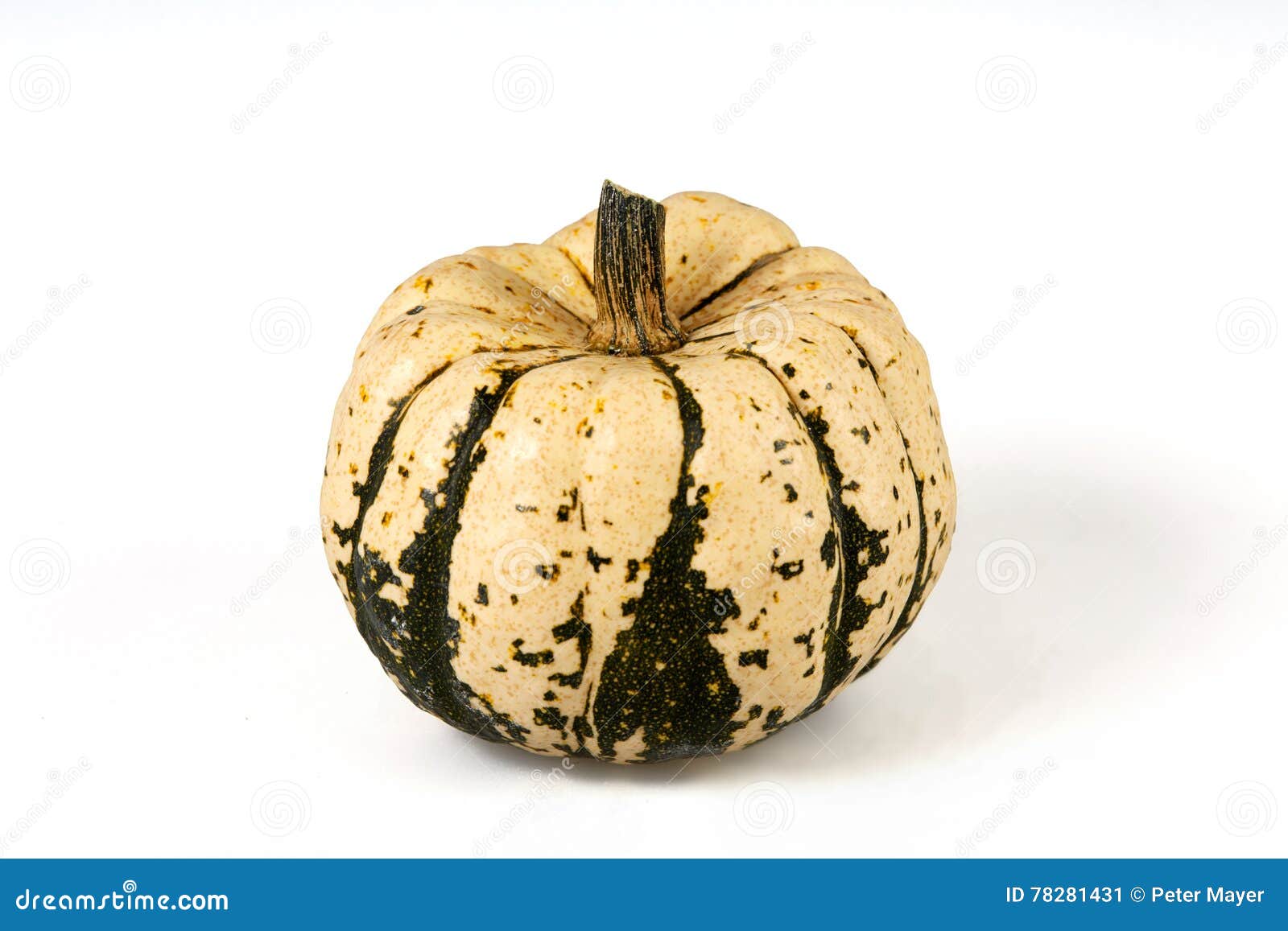 Isolated Green and White Pumpkin Stock Image - Image of organic ...