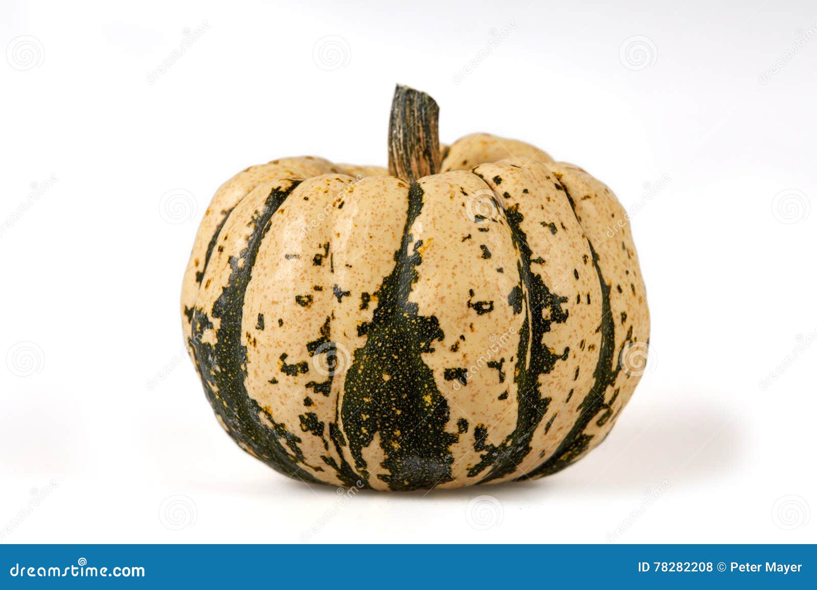 Isolated Green and White Pumpkin Stock Photo - Image of object, gourd ...