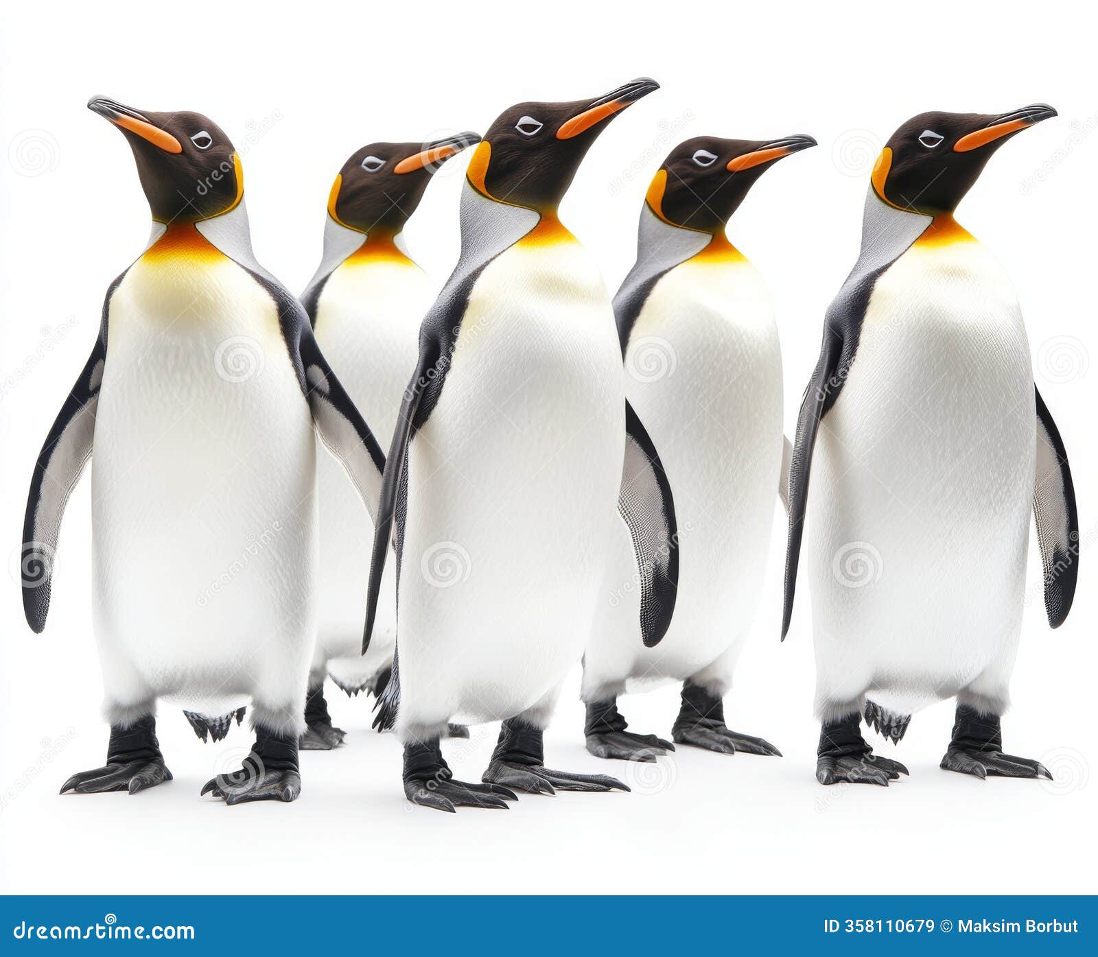 Isolated Emperor Penguin With Clipping Path Stock Photography ...