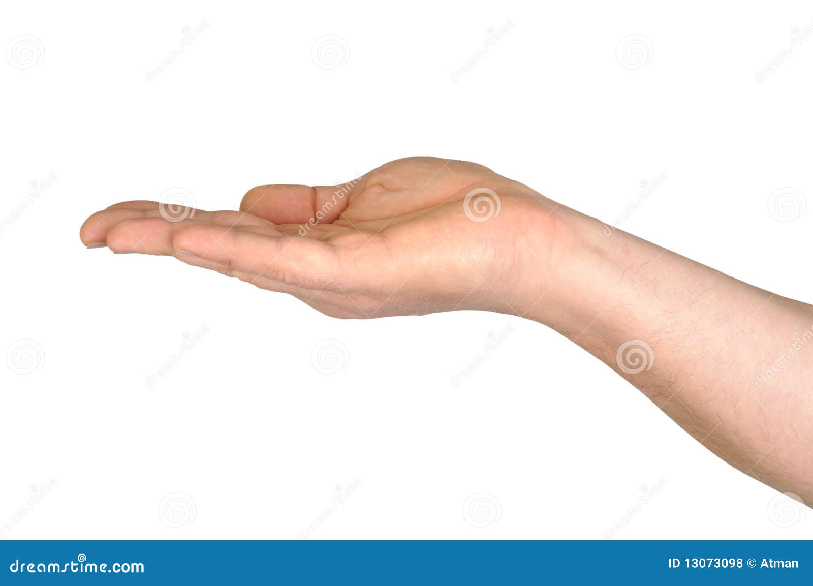 Isolated Hand stock photo. Image of gestures, gesture - 13073098