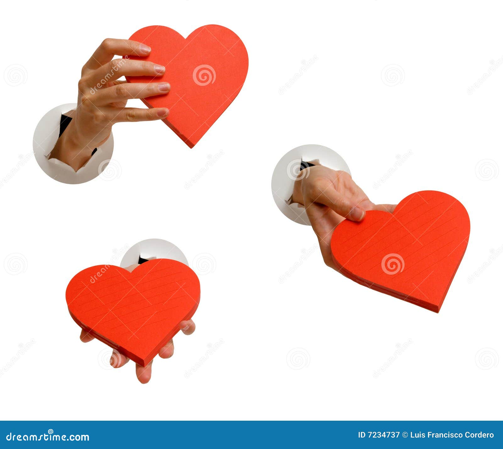 Isolated hand collection stock image. Image of people - 7234737