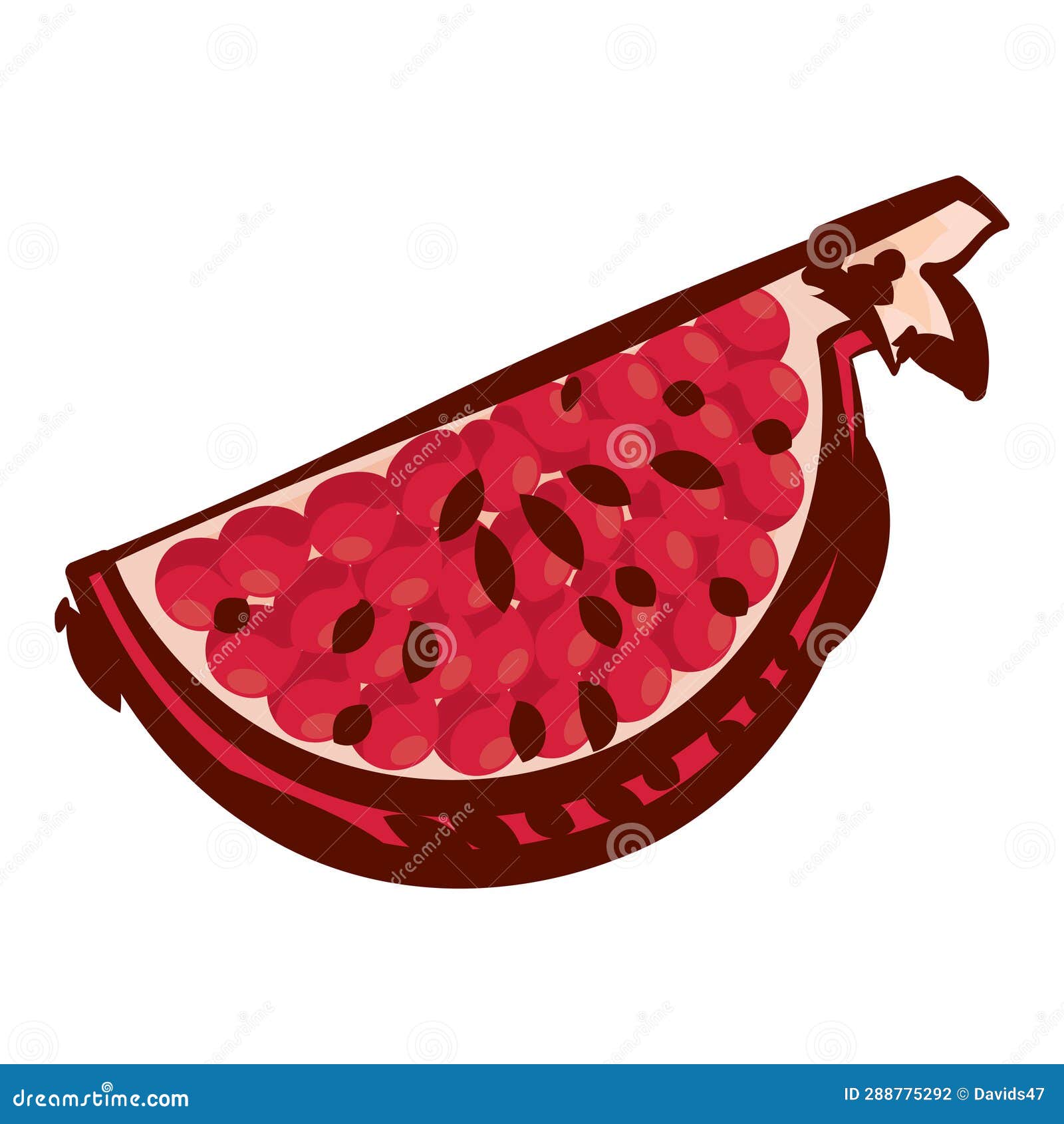 Isolated Hand Drawn Slice of a Pomegranate Vector Stock Illustration ...