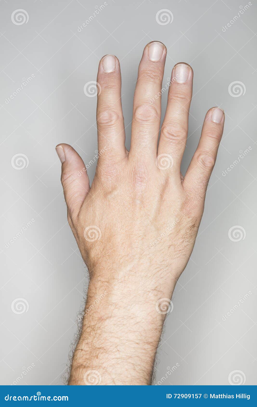 Isolated hand gesture stock image. Image of human, body - 72909157