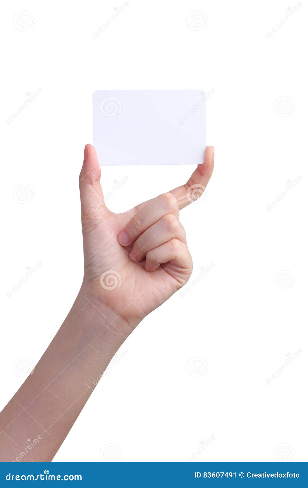 Isolated Hand holding card stock image. Image of showing - 83607491