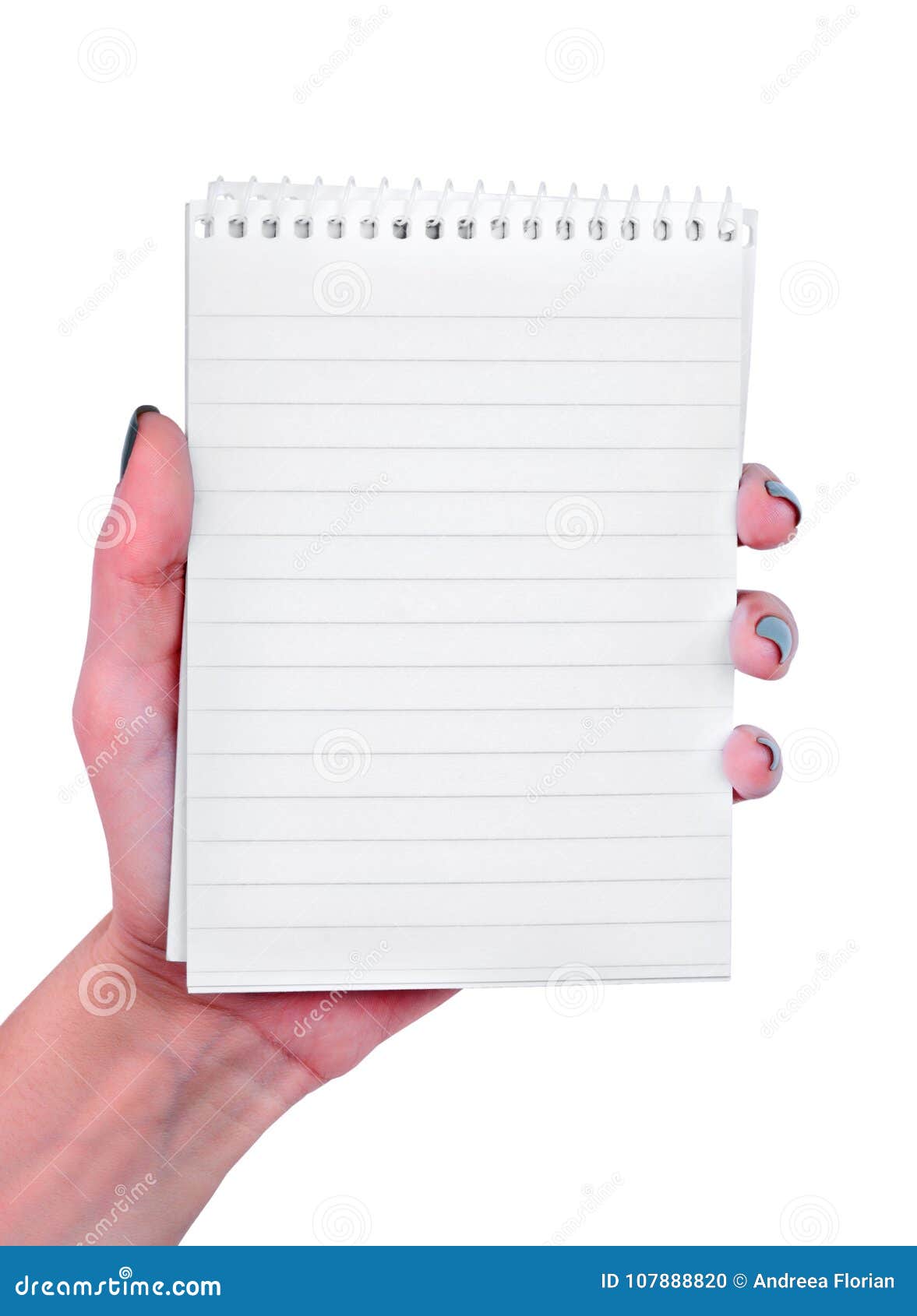 Hand Holding Empty Notebook on White Background Stock Photo - Image of ...
