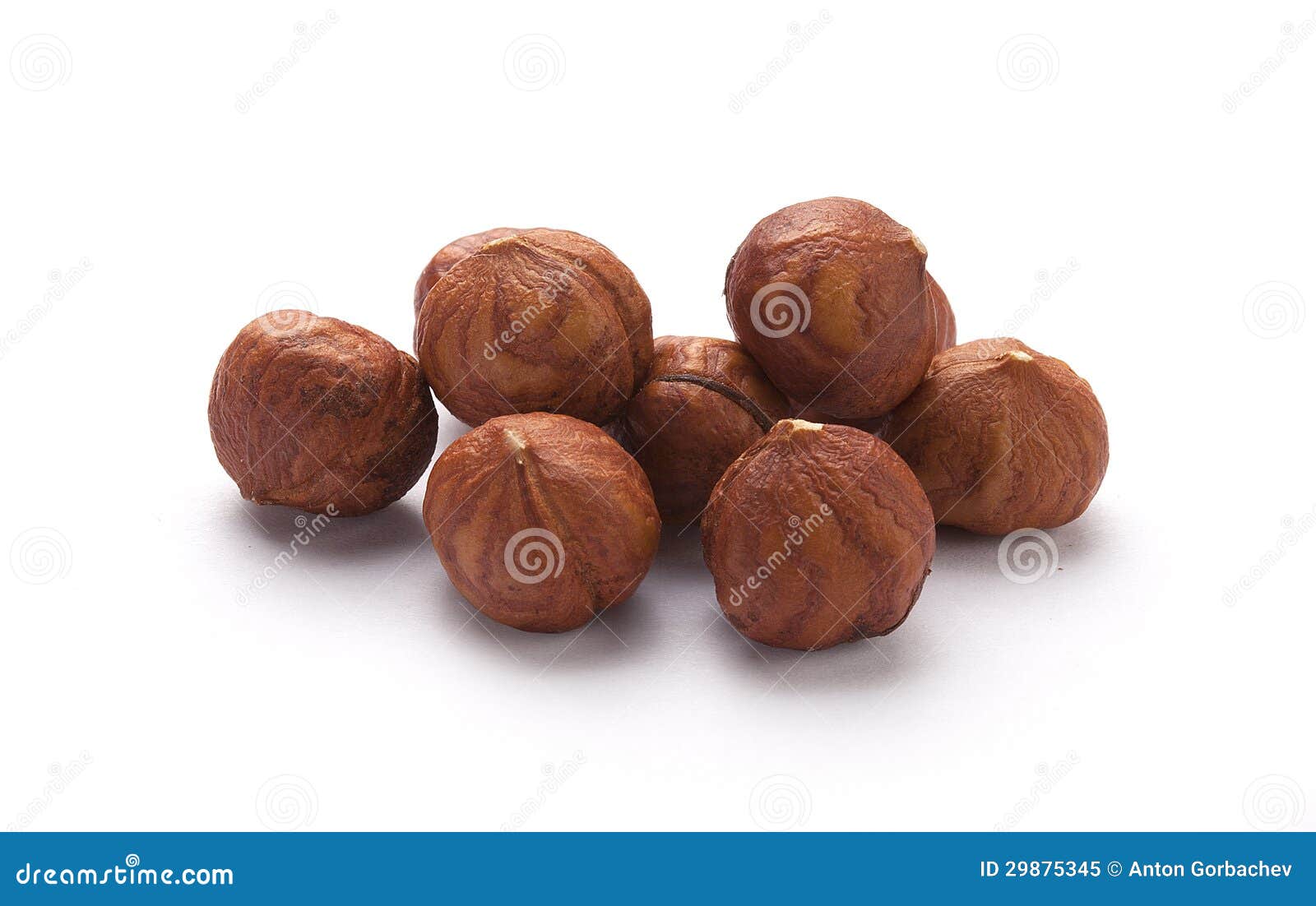 Hazelnuts stock image. Image of core, snack, fruit, fresh - 29875345