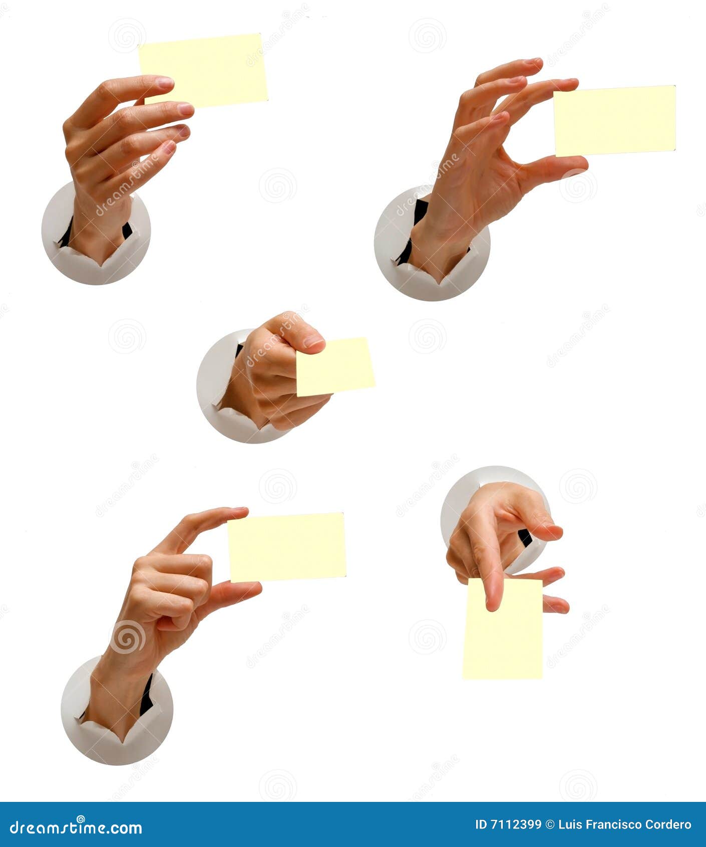 Isolated hands collection stock image. Image of hold, female - 7112399