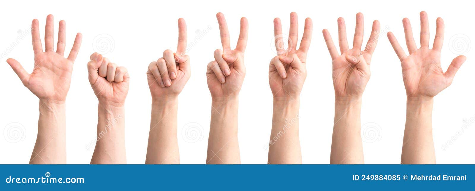 Isolated Hands, Showing Numbers 1 To 5 Plus a Left Hand for Numbers 6 ...