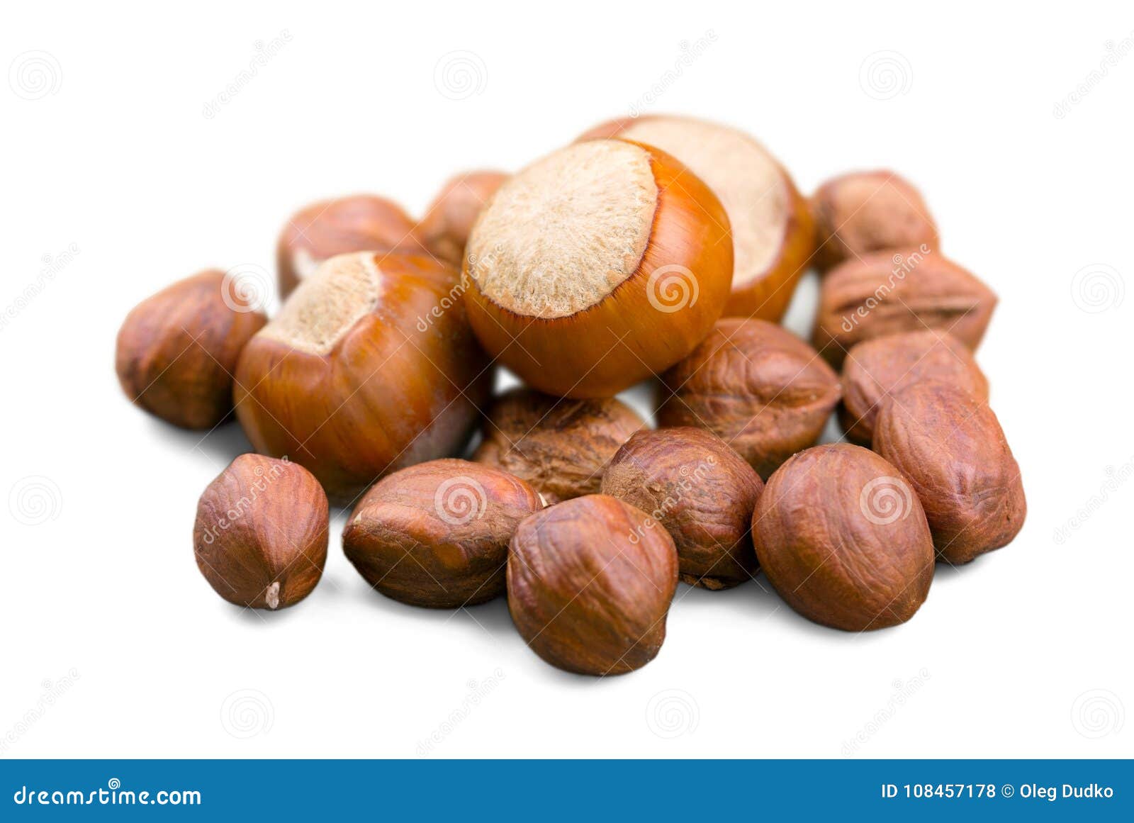 Forest Nuts Hazelnuts Isolated on White Background Stock Photo - Image ...