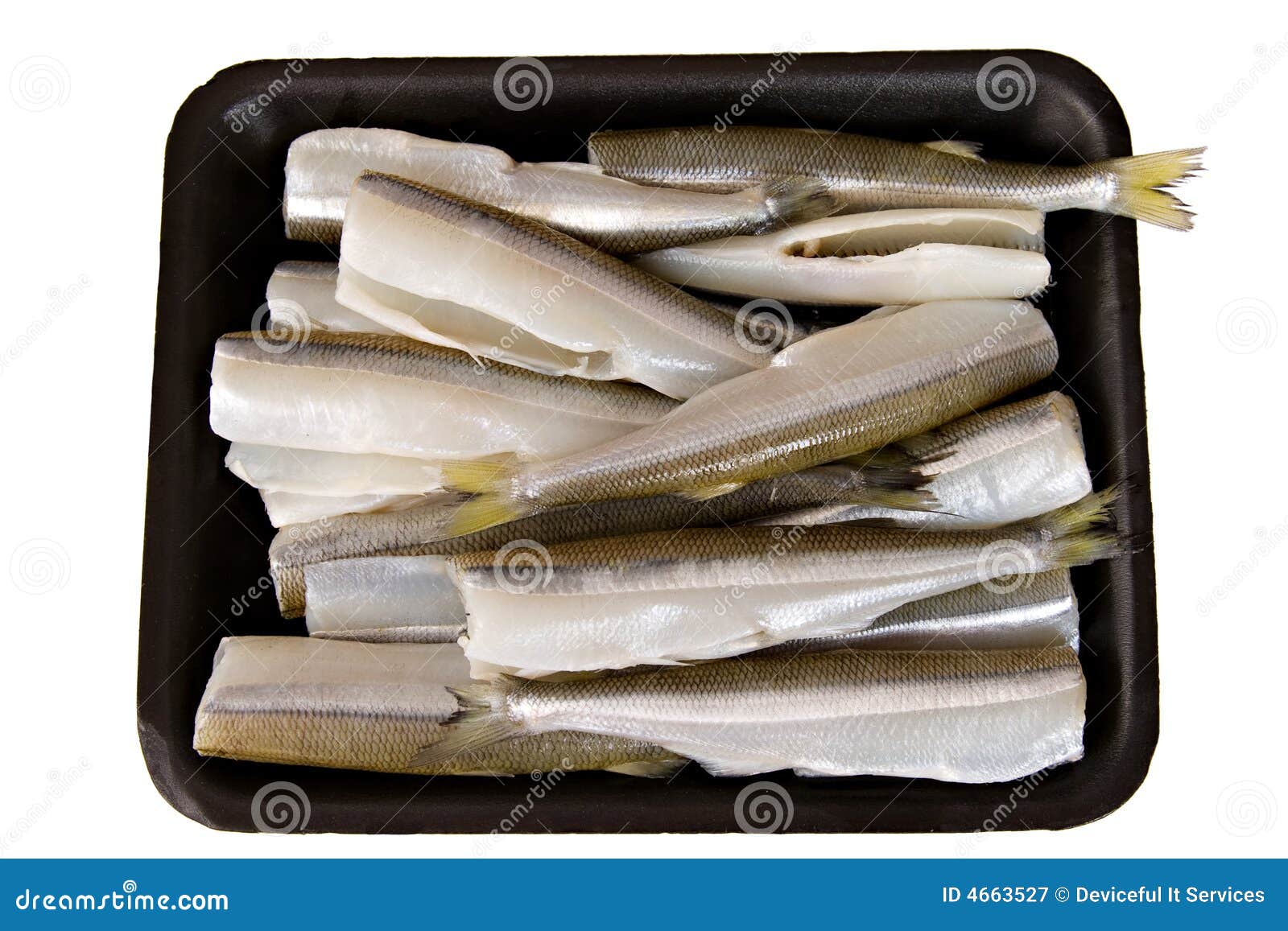 Isolated Headless Smelt Fish Stock Image - Image of marine, nutrition ...
