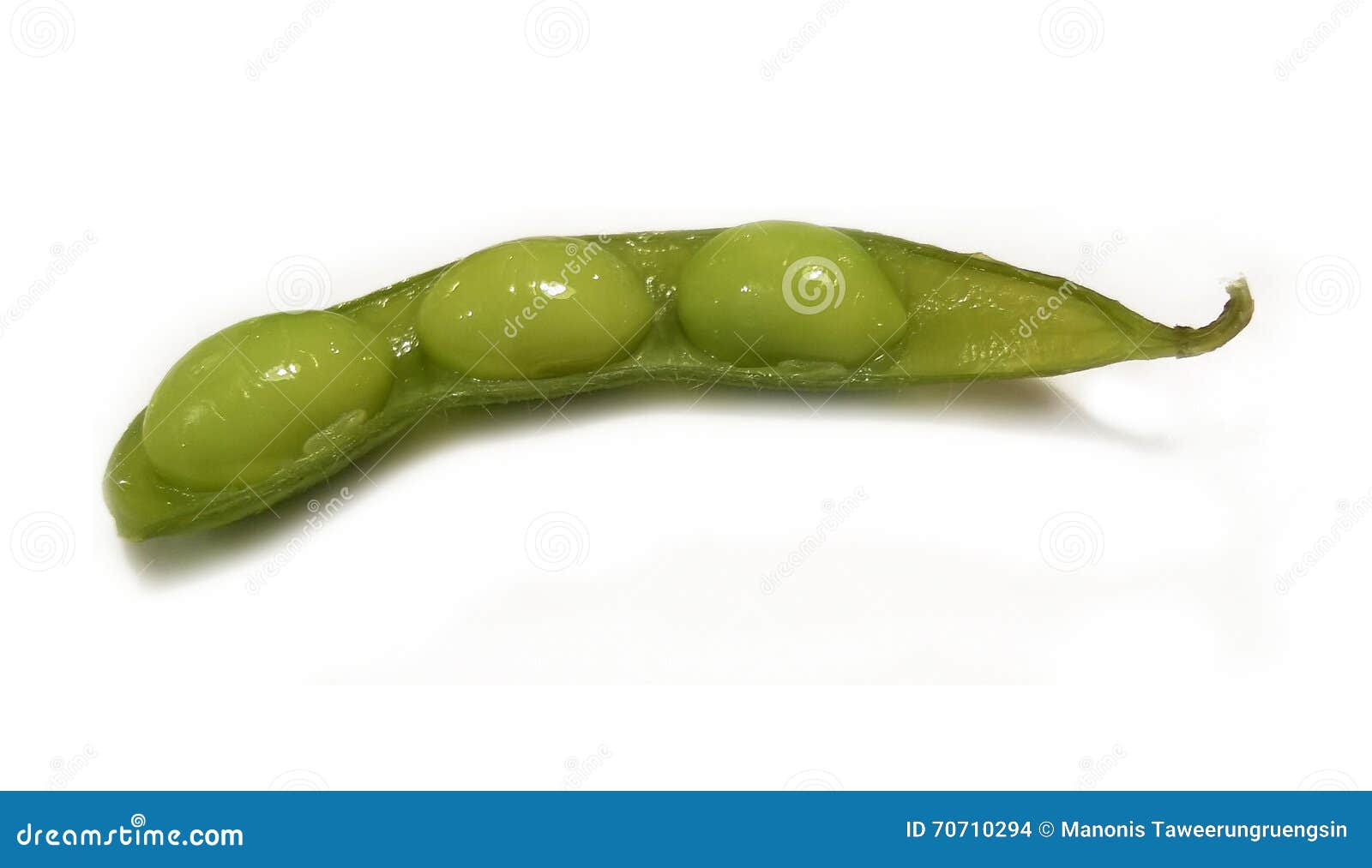 Isolated Healthy Fresh Green Soya on White Background Stock Photo ...