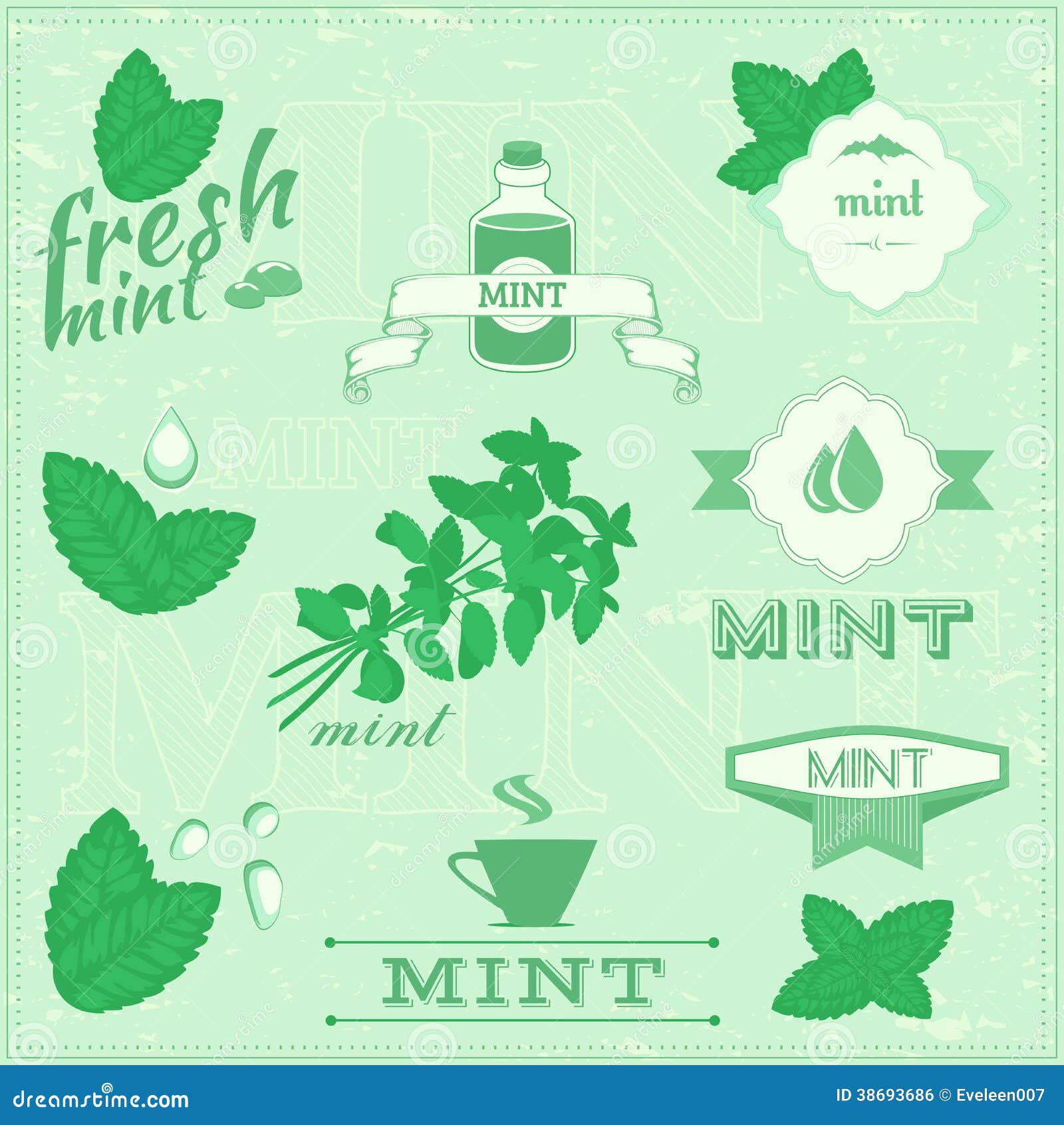 Isolated Herbs, Mint Vector Leaves Stock Vector - Illustration of ...