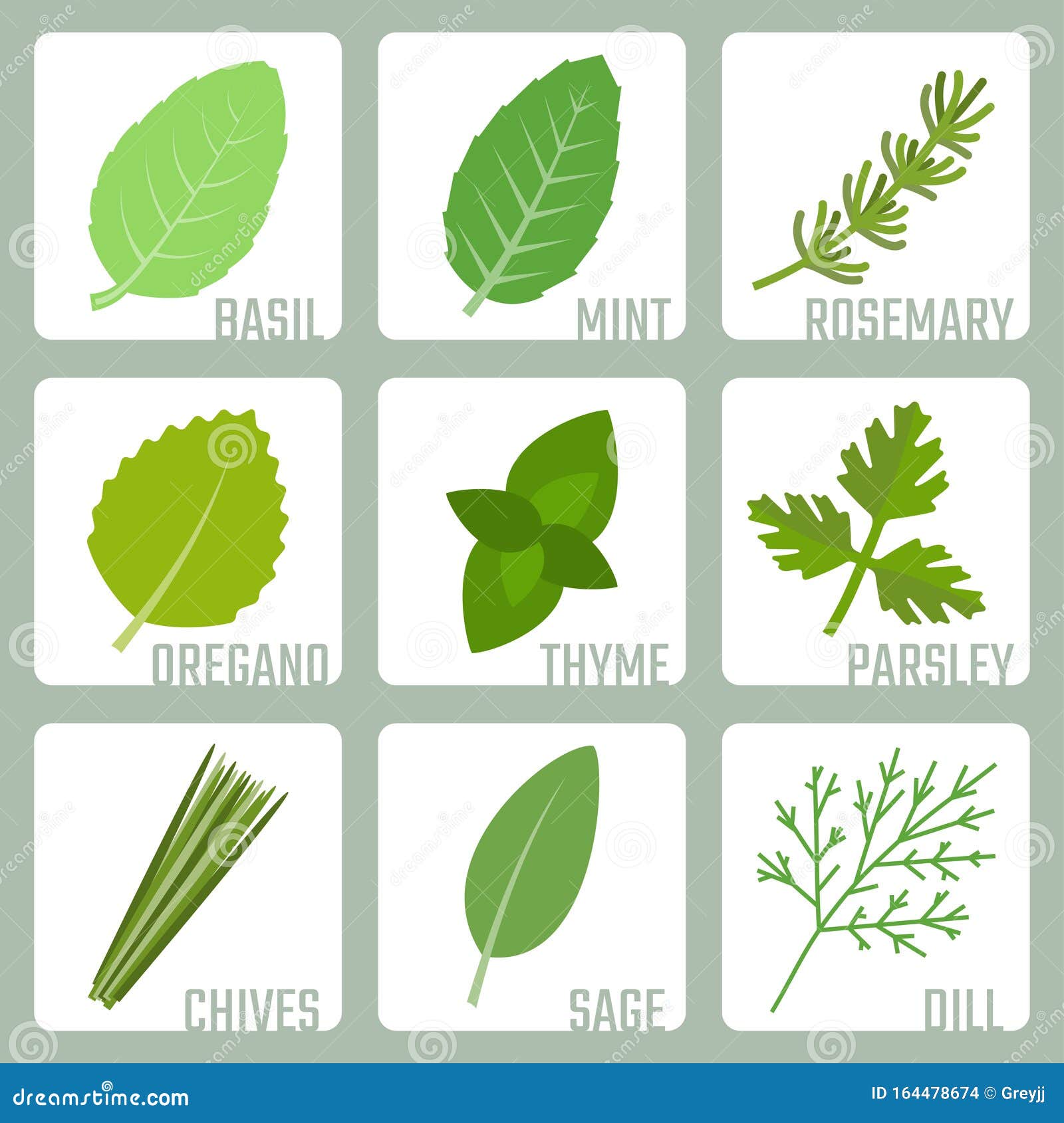 Isolated herbs icons set stock vector. Illustration of green - 164478674
