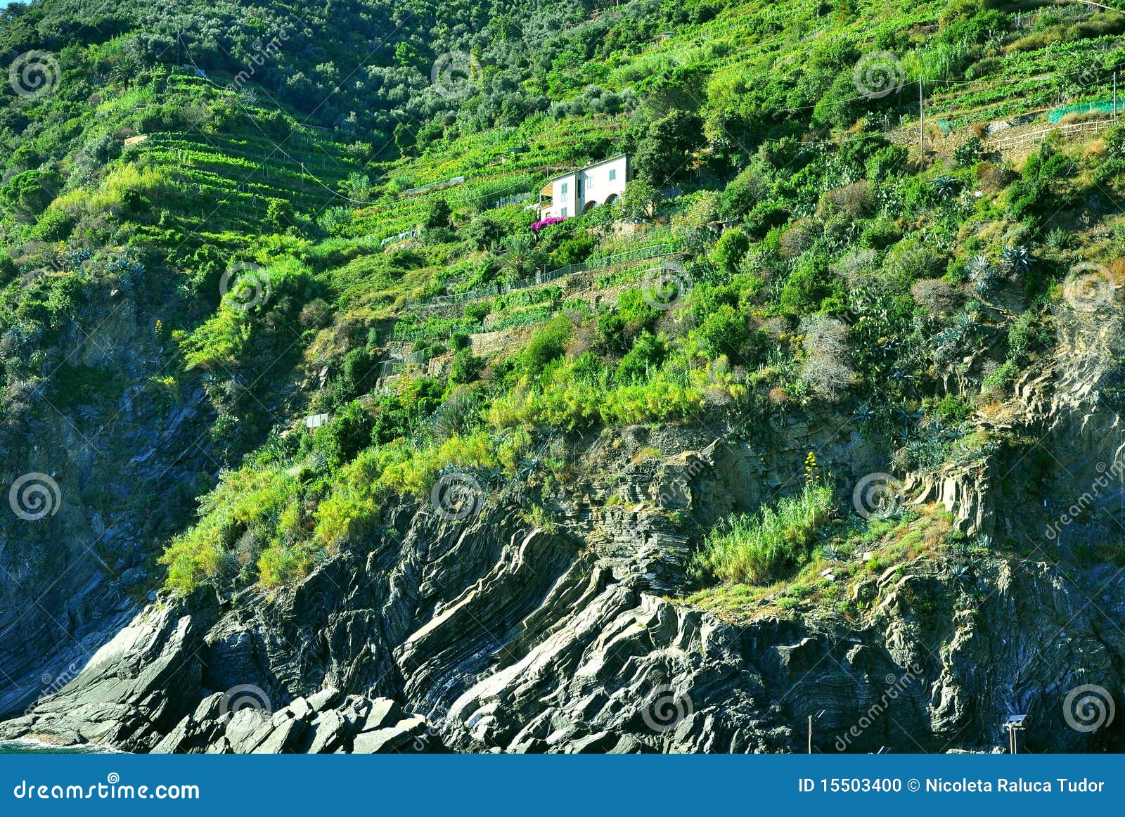 Isolated House in the Nature and Mountains Surrounded by Fresh Plants ...