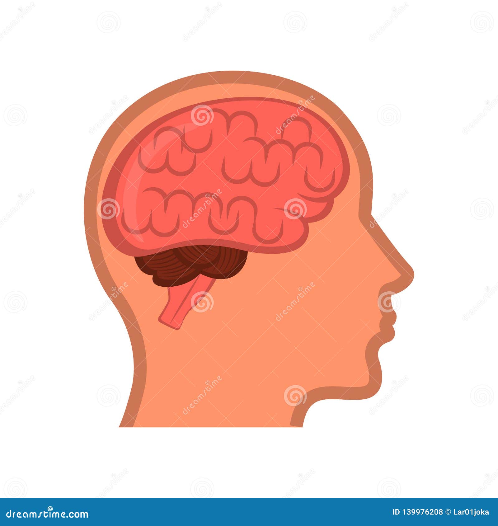 Isolated Human Brain in a Body Stock Vector - Illustration of medicine ...