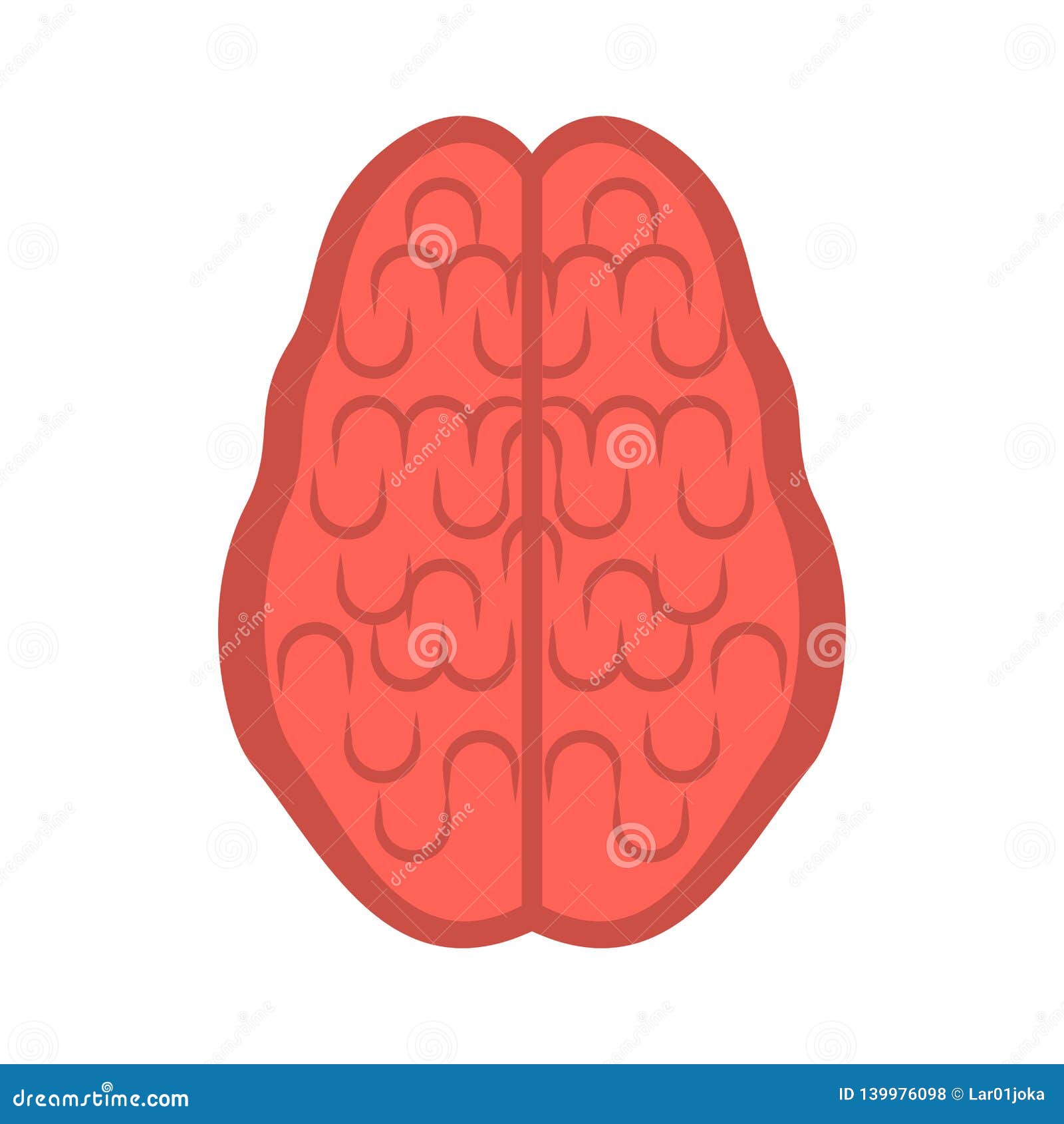 Isolated human cut brain stock vector. Illustration of head - 139976098