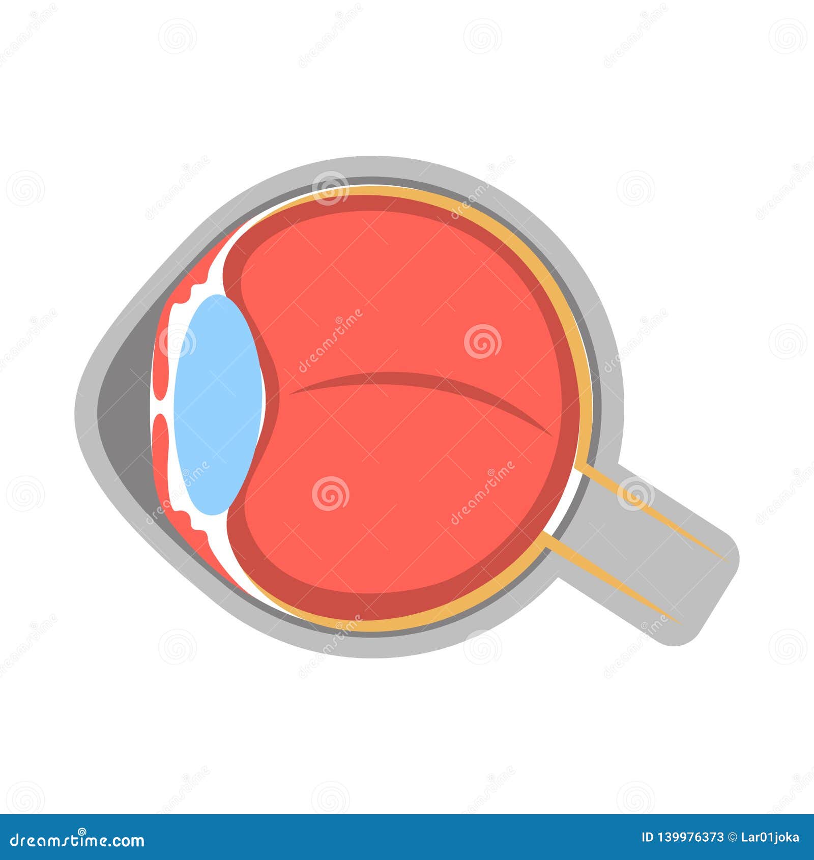 Isolated human cut eye stock vector. Illustration of closeup - 139976373