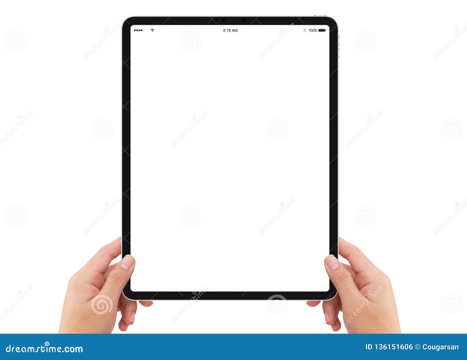 Isolated Human Left Hand Holding Vertical Black Tablet Computer Stock ...