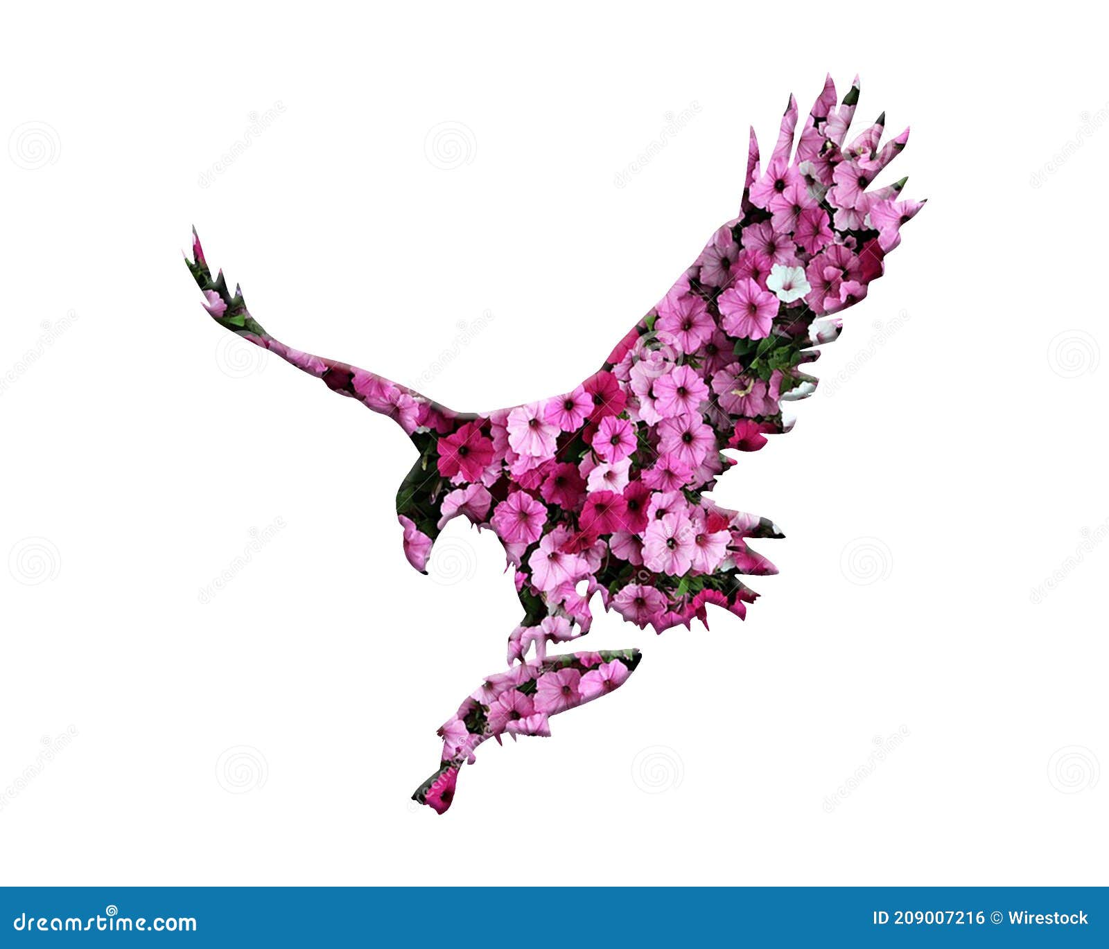 Minimalistic Eagle Stock Photos - Free & Royalty-Free Stock Photos from ...