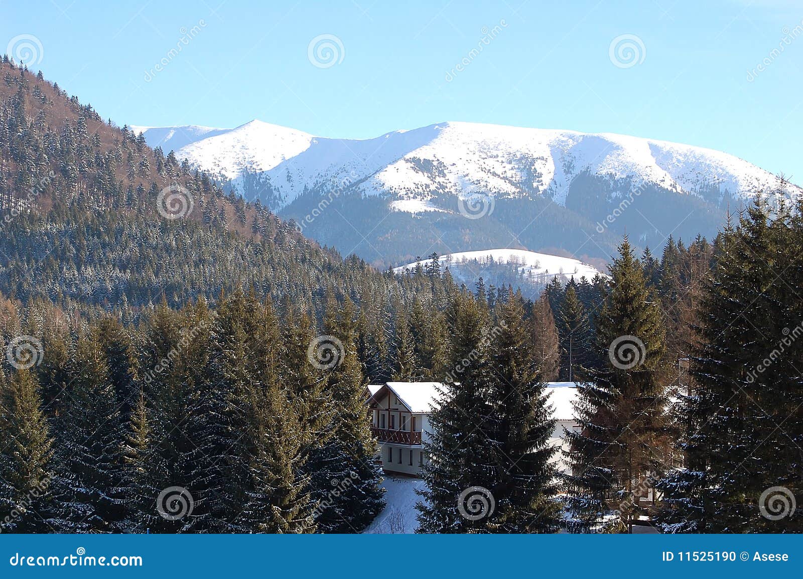 Isolated hut stock photo. Image of blue, isolated, house - 11525190