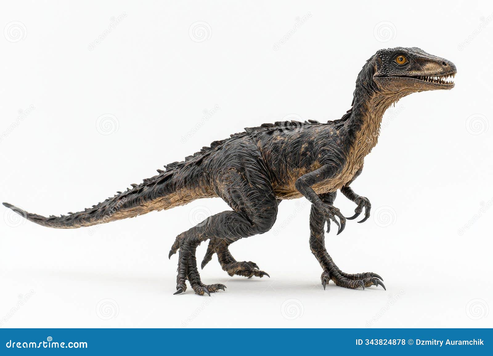 Isolated Illustration of an Austroraptor Dinosaur, Highlighting Its ...