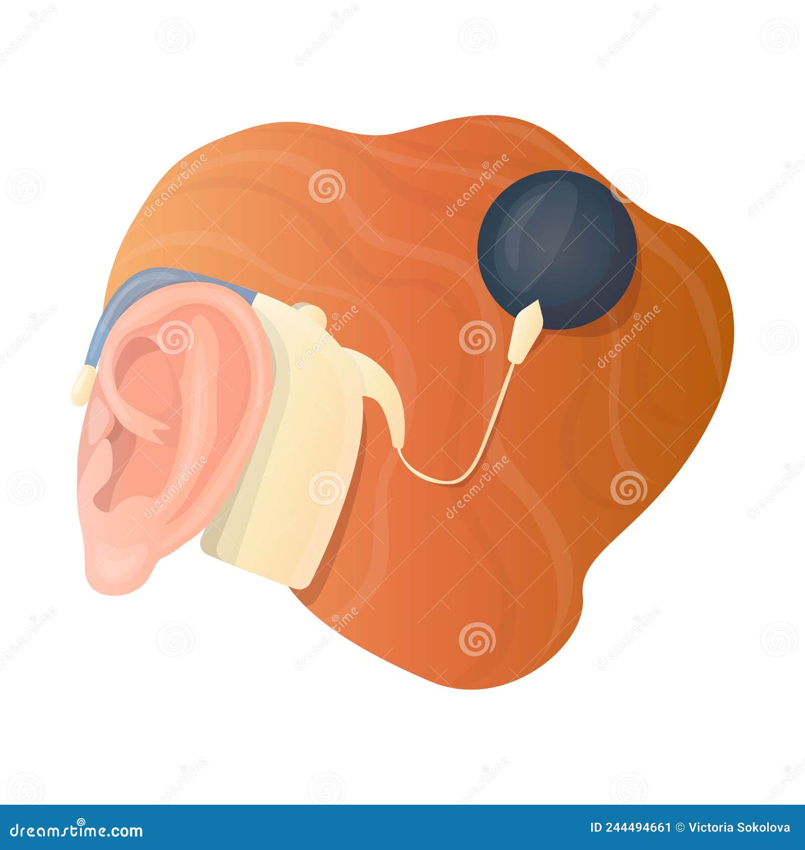 The Temporal Bone Royalty-Free Cartoon | CartoonDealer.com #45274535