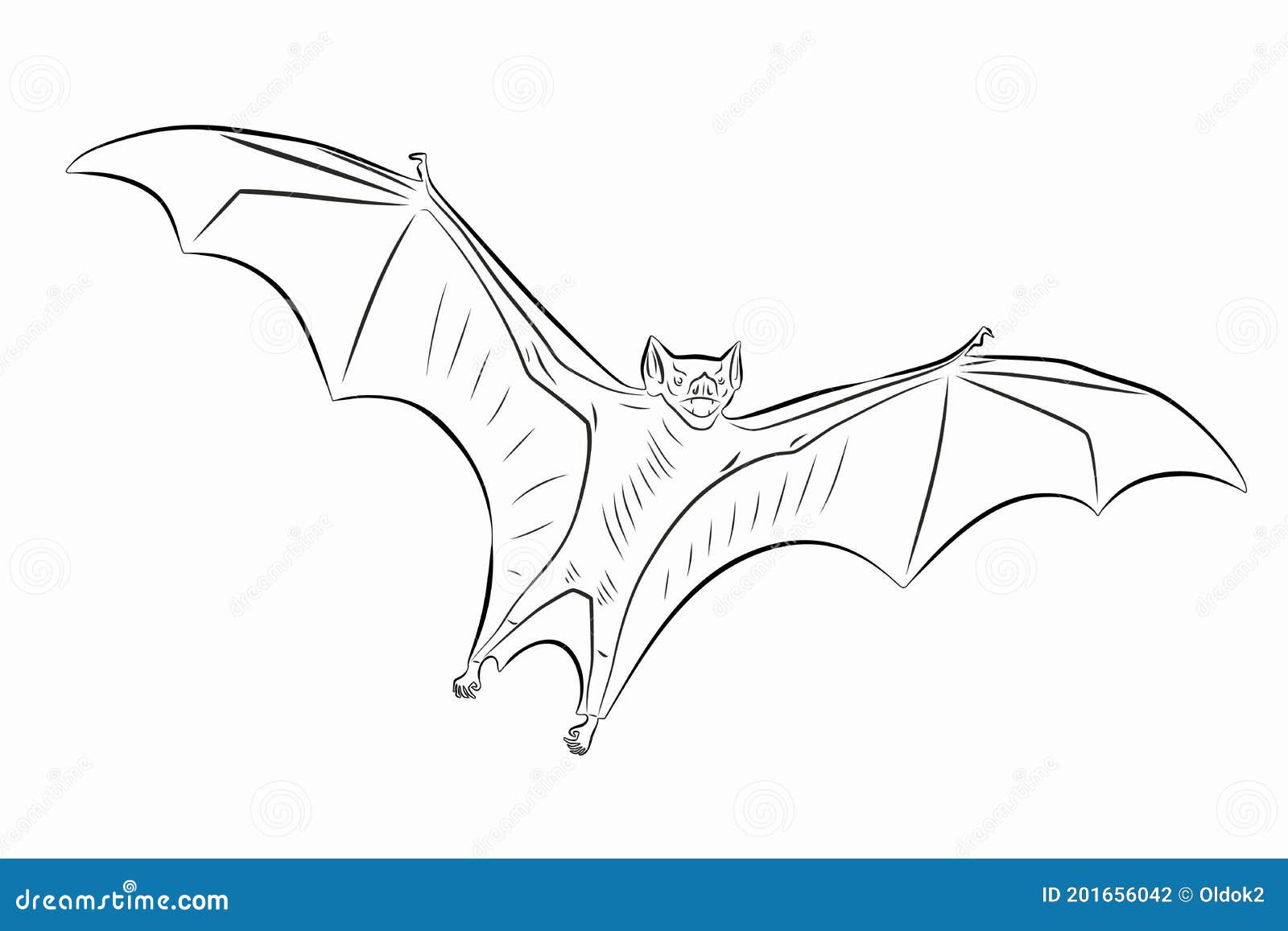 Illustration of a Bat, Vector Draw Stock Vector - Illustration of ...