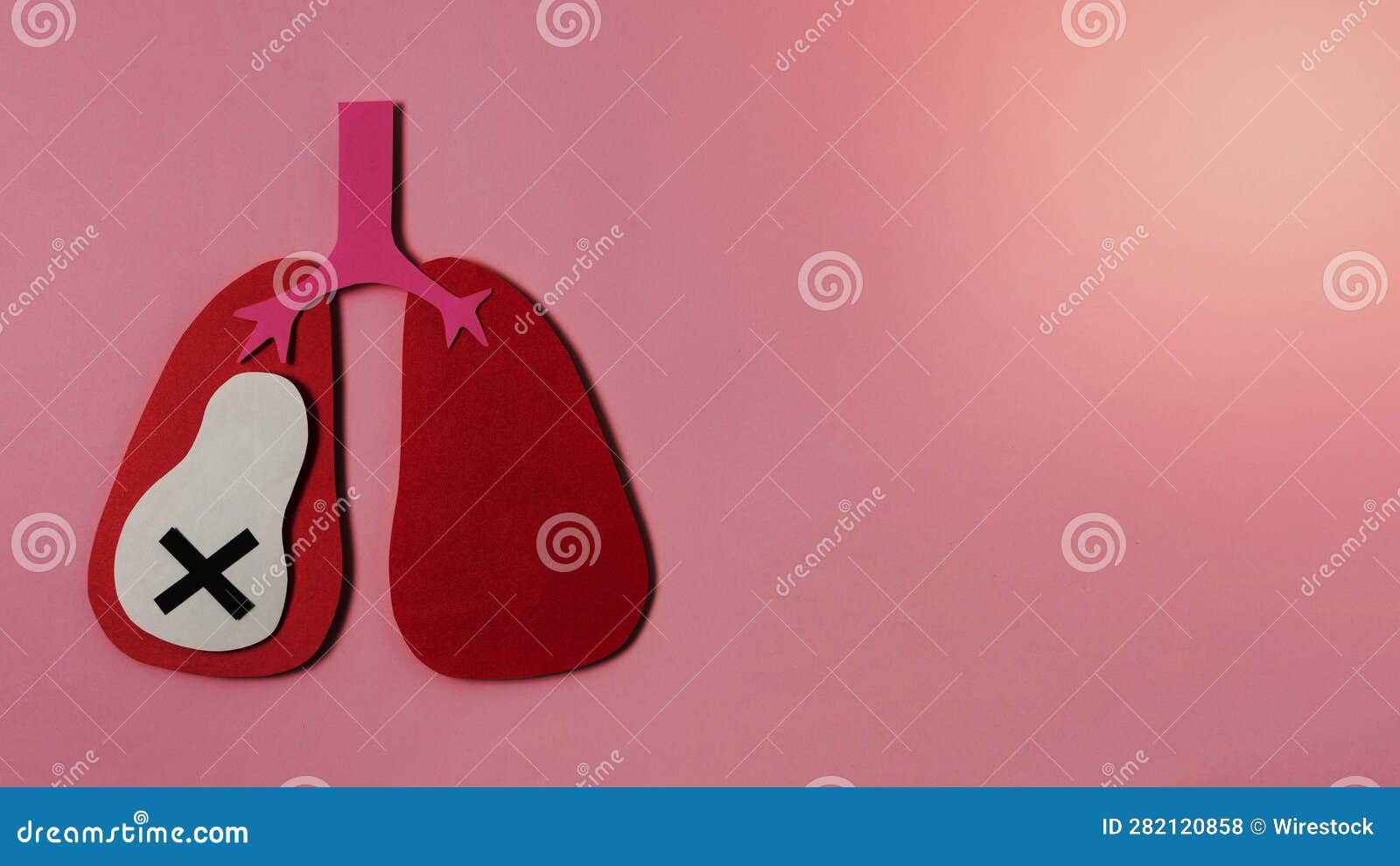 A Pair of Lungs is Shown with the Cross on Their End Stock Photo ...