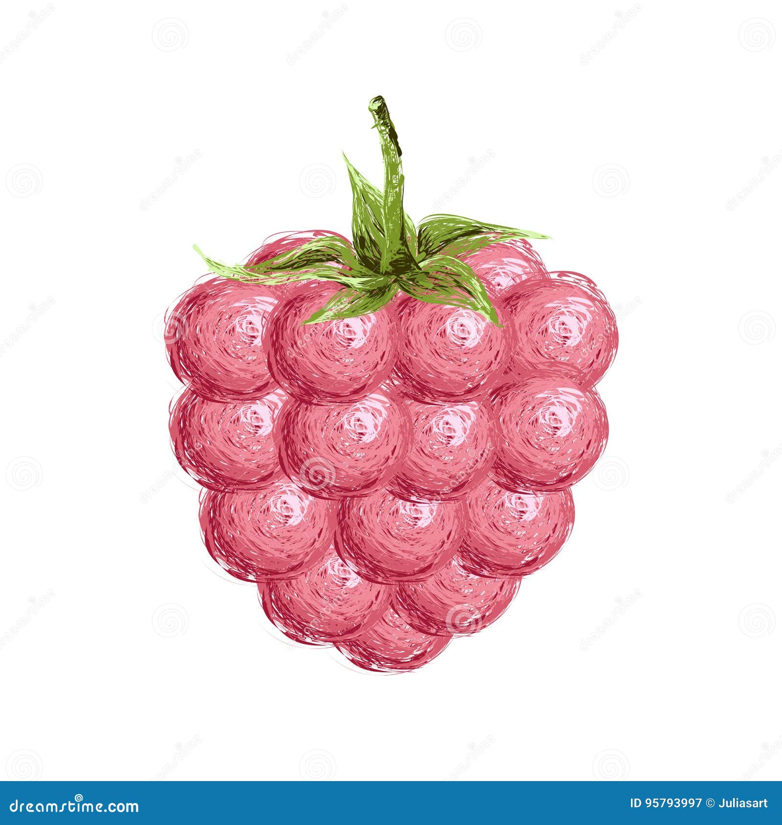 Raspberries Hand Drawn. Isolated Illustration Stock Illustration ...