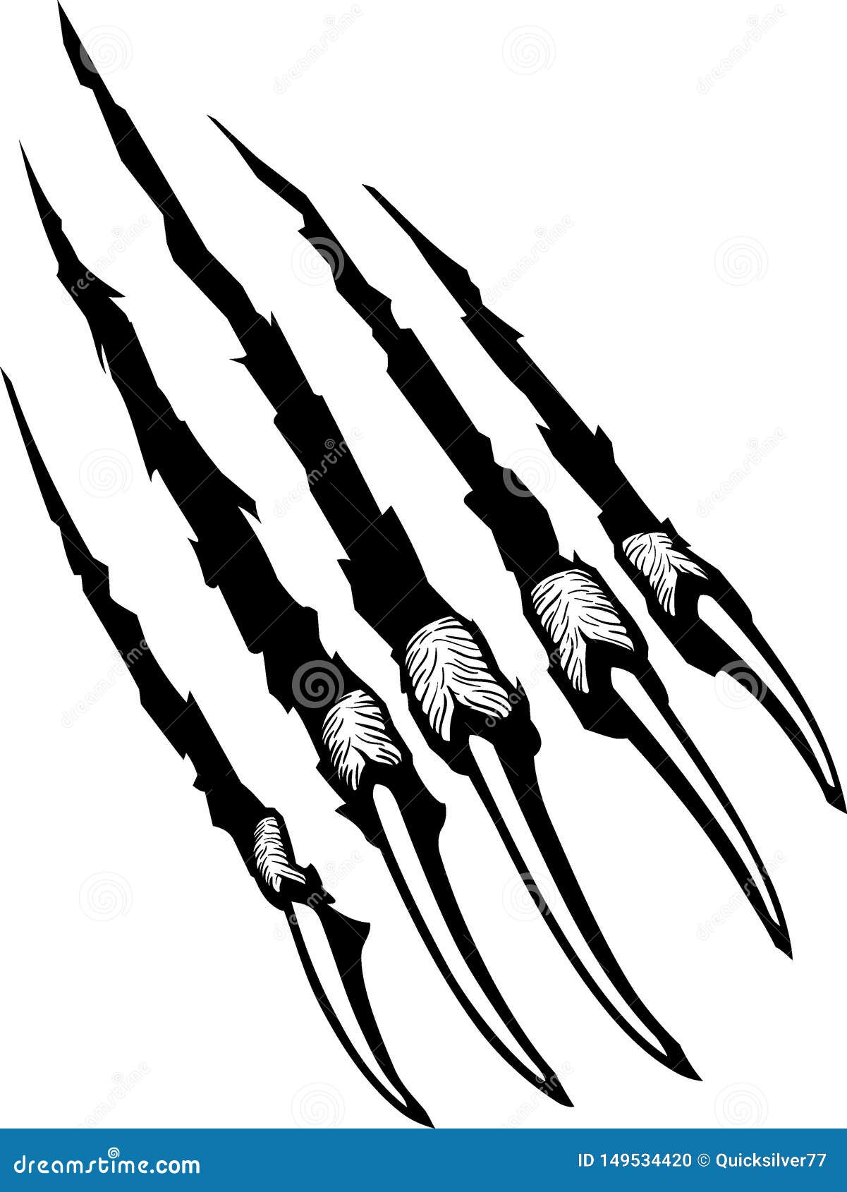 Bear Rip Claw Torn Surface stock illustration. Illustration of engulf ...