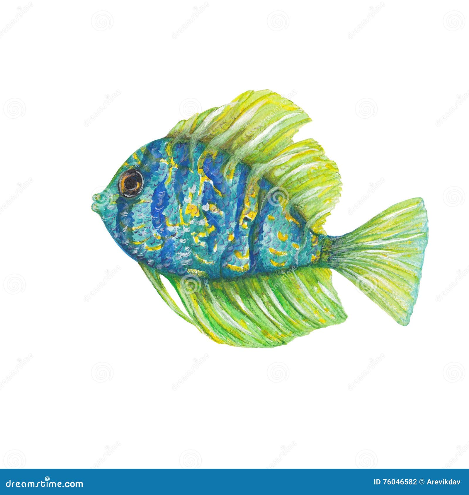 Isolated Illustration of Watercolor Fish Stock Illustration ...