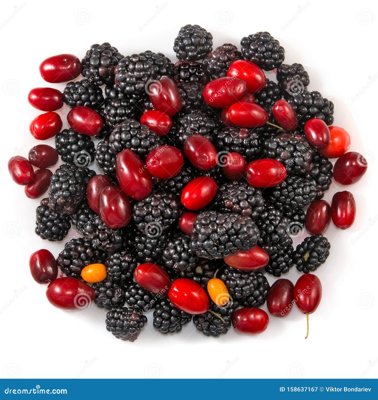 Image of Berries on a White Background Stock Image - Image of macro ...