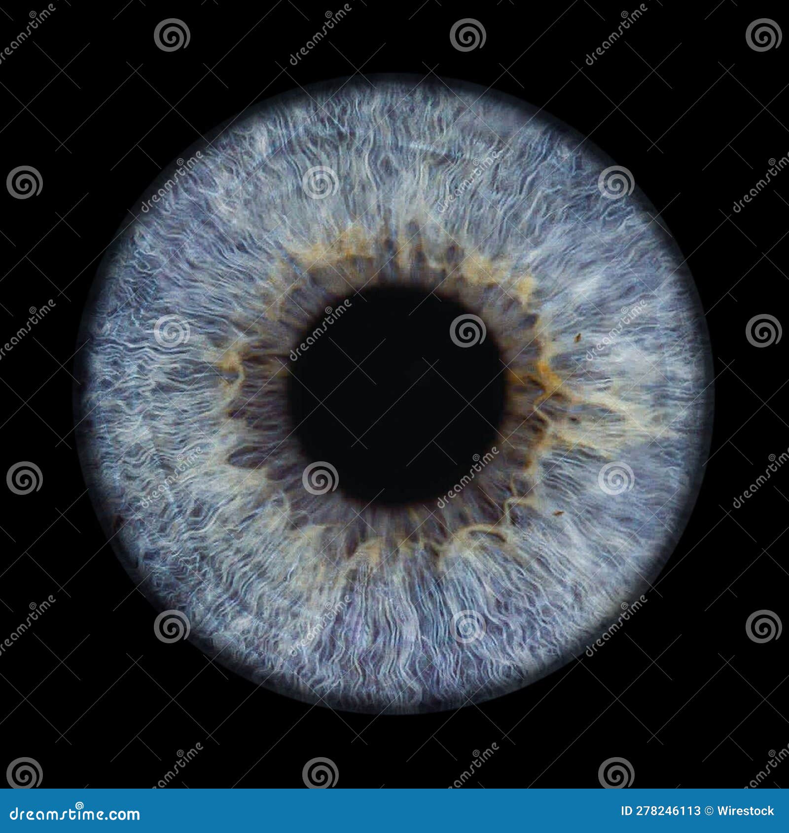 Isolated Image of a Blue Human Iris in a Circular Shape Set Against a ...