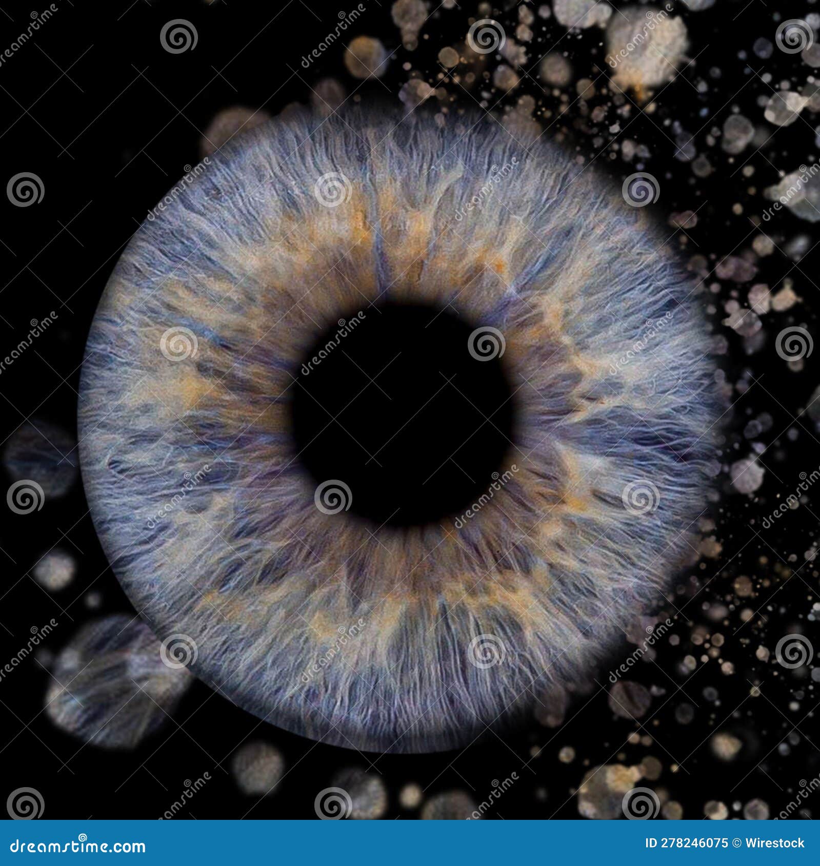 Isolated Image of a Blue Human Iris in a Circular Shape Set Against a ...