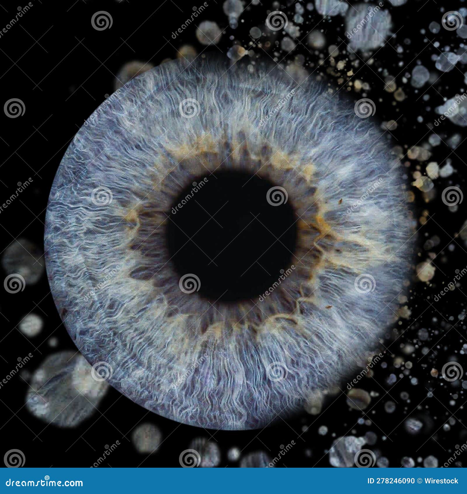 Isolated Image of a Blue Human Iris in a Circular Shape Set Against a ...