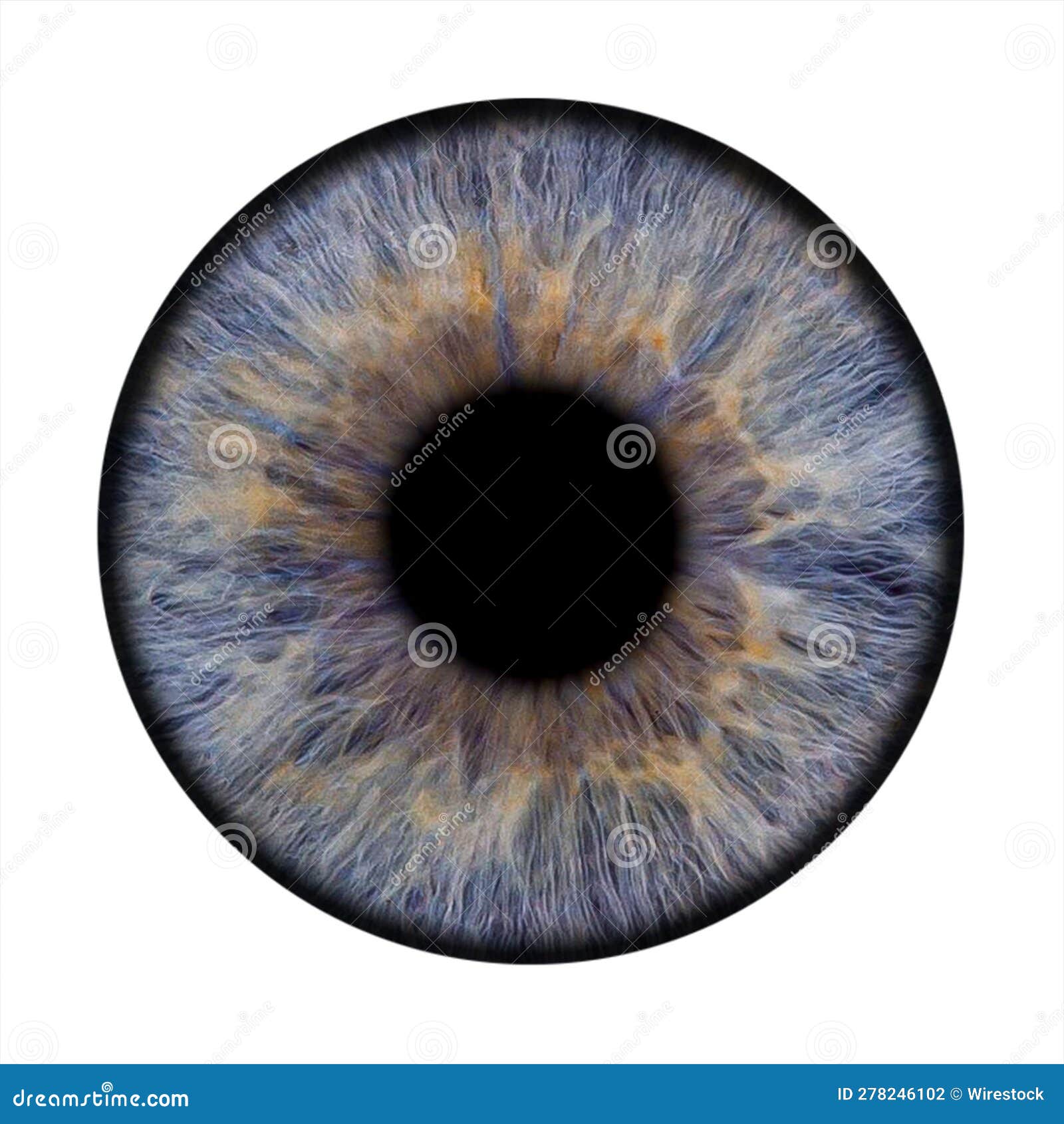 Isolated Image of a Blue Human Iris in a Circular Shape Set Against a ...