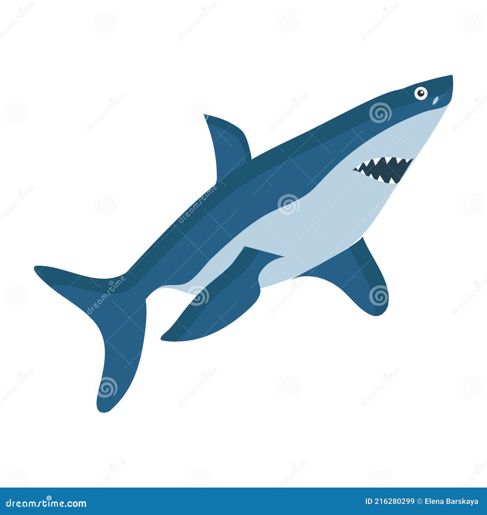 Isolated Image of a Blue-blue Shark on a White Background Stock Vector ...