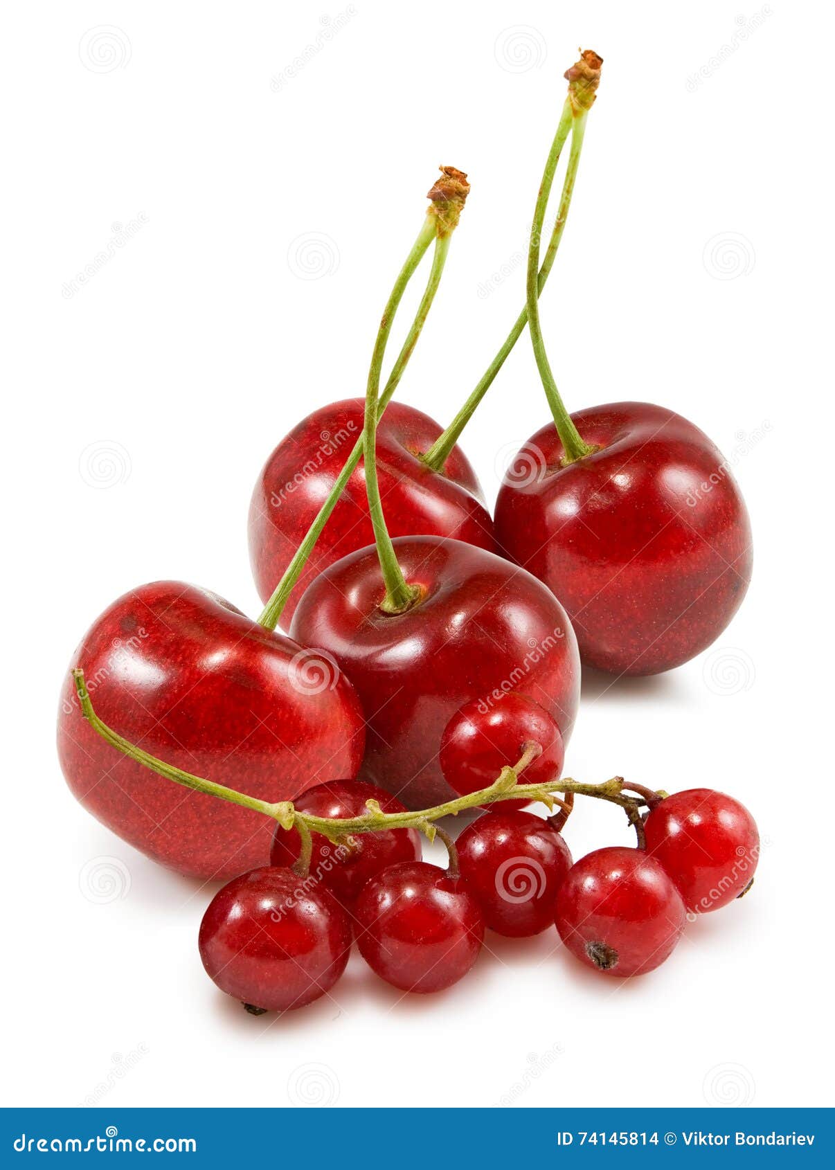 Isolated Image of Cherries Close Up Stock Photo - Image of dessert ...