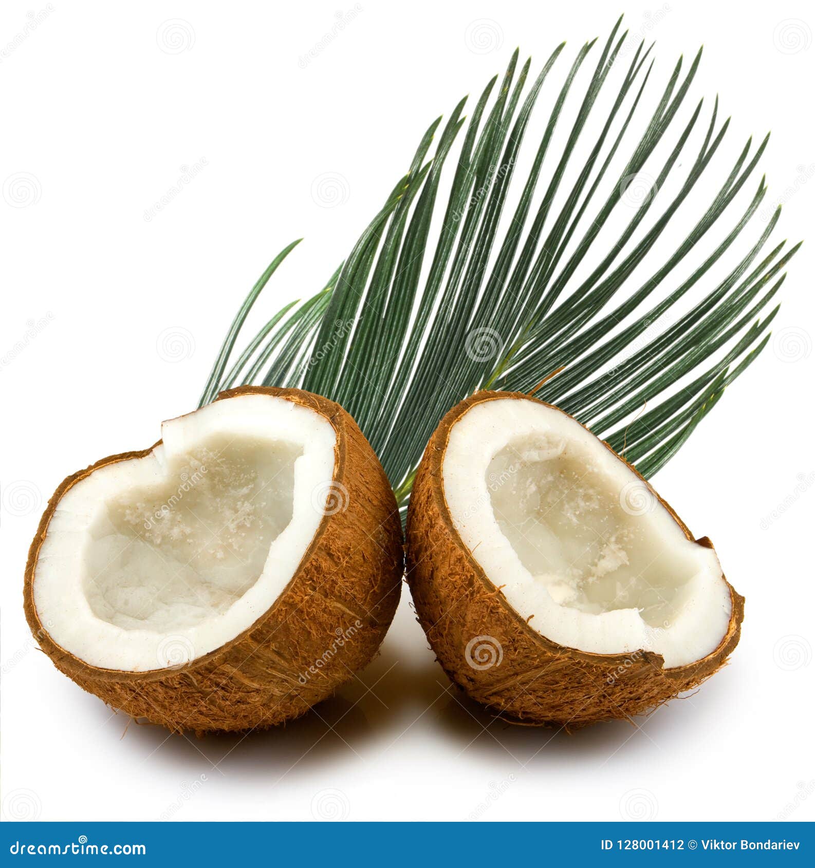 Image of coconut close up stock photo. Image of colorful - 128001412