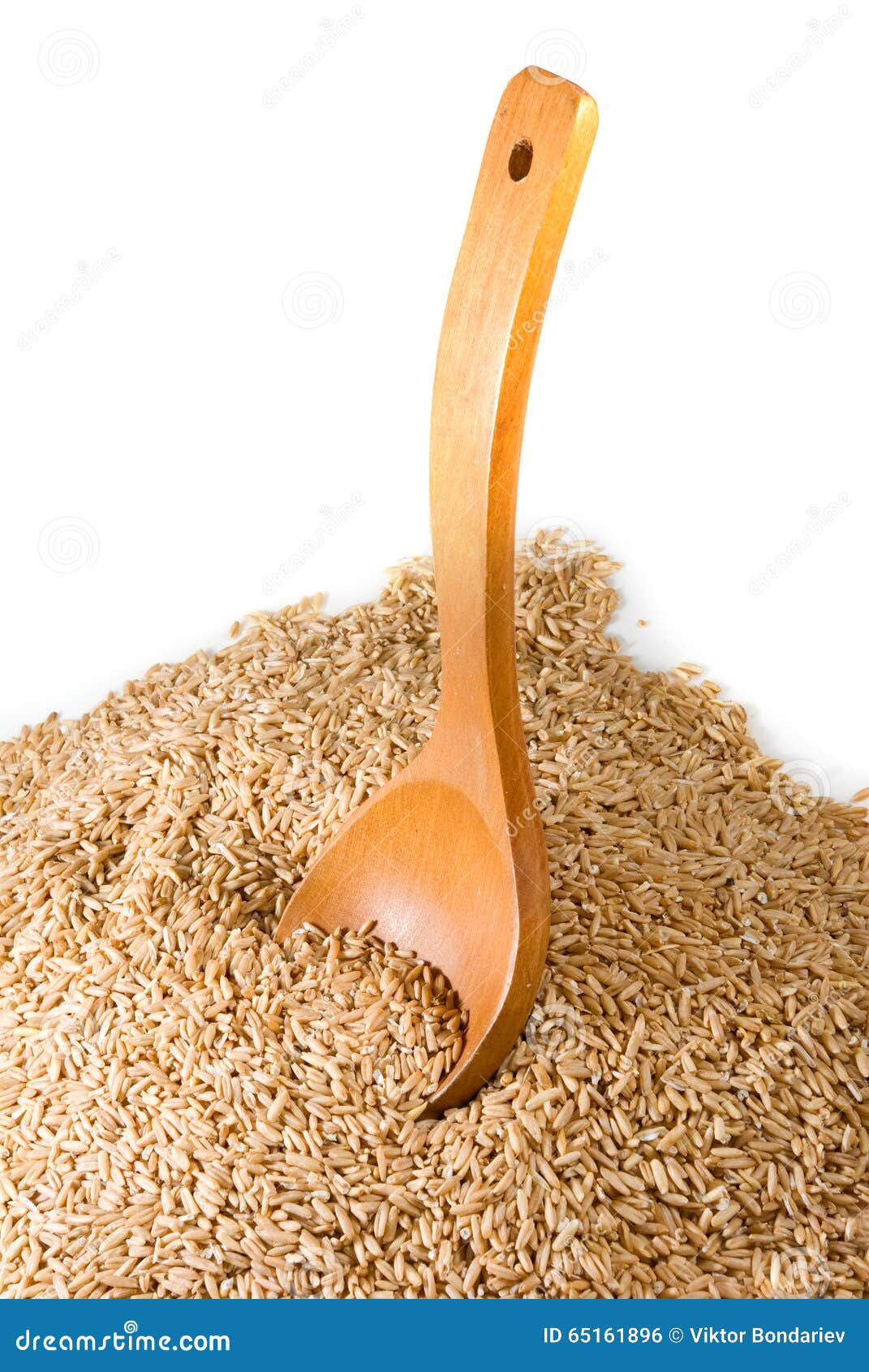 Isolated Image of Dry Barley Close-up Stock Photo - Image of pure ...
