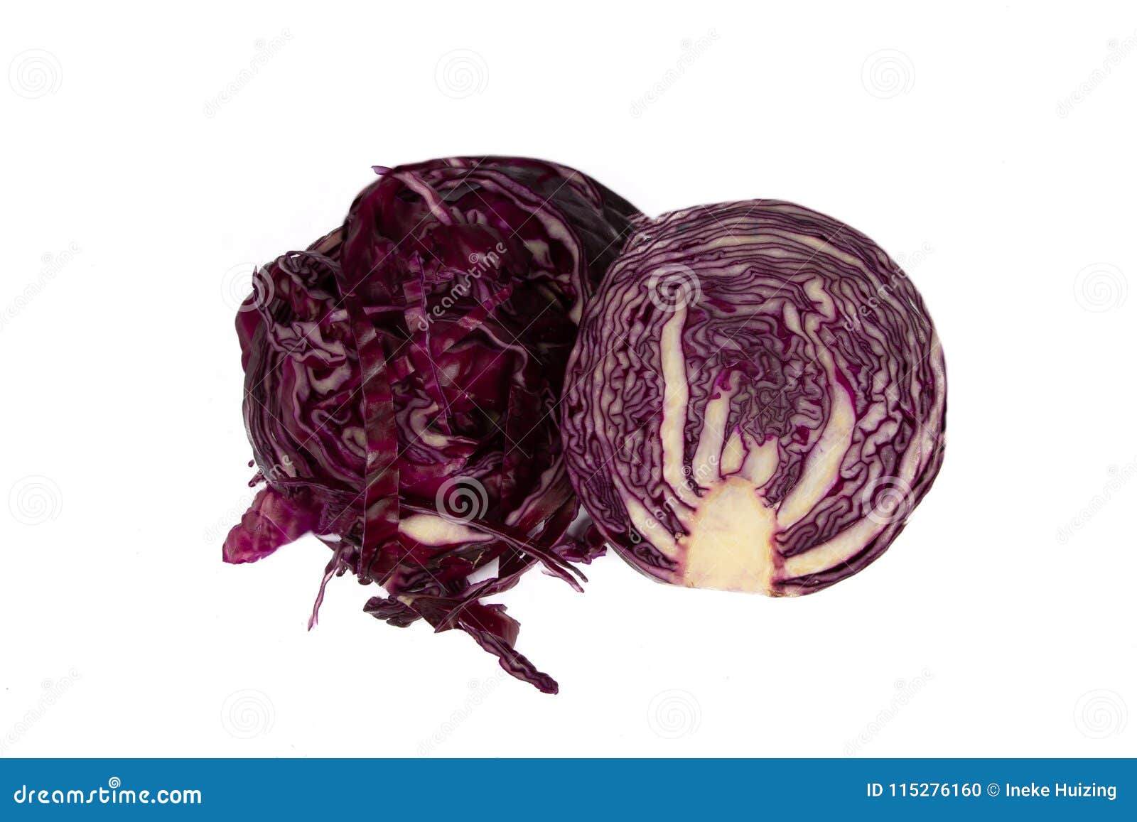An Isolated Red Cabbage Sliced in Half Stock Photo - Image of cabage ...