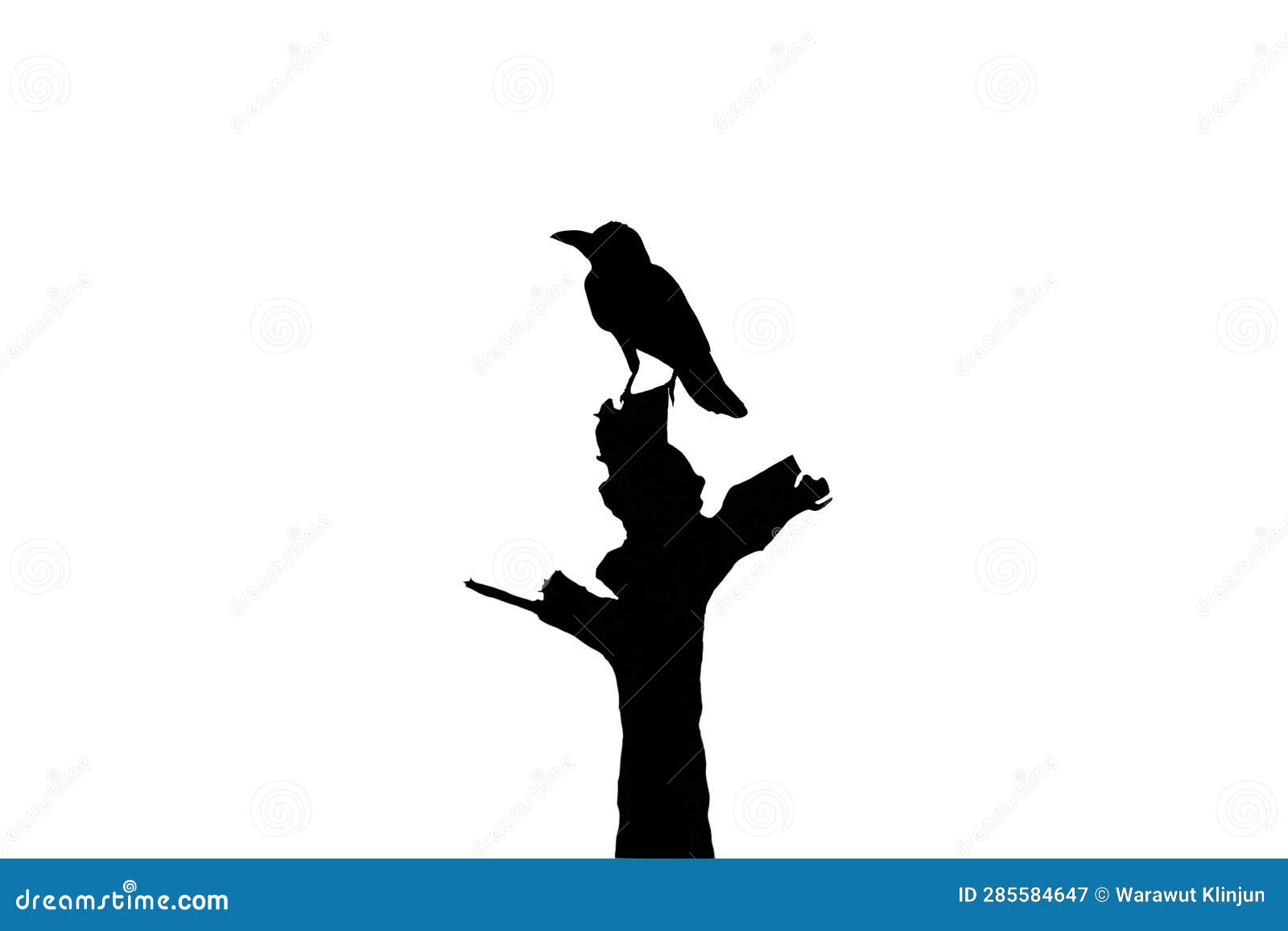 Isolated Image, Silhouette of a Crow Perched on a Branch Stock Image ...