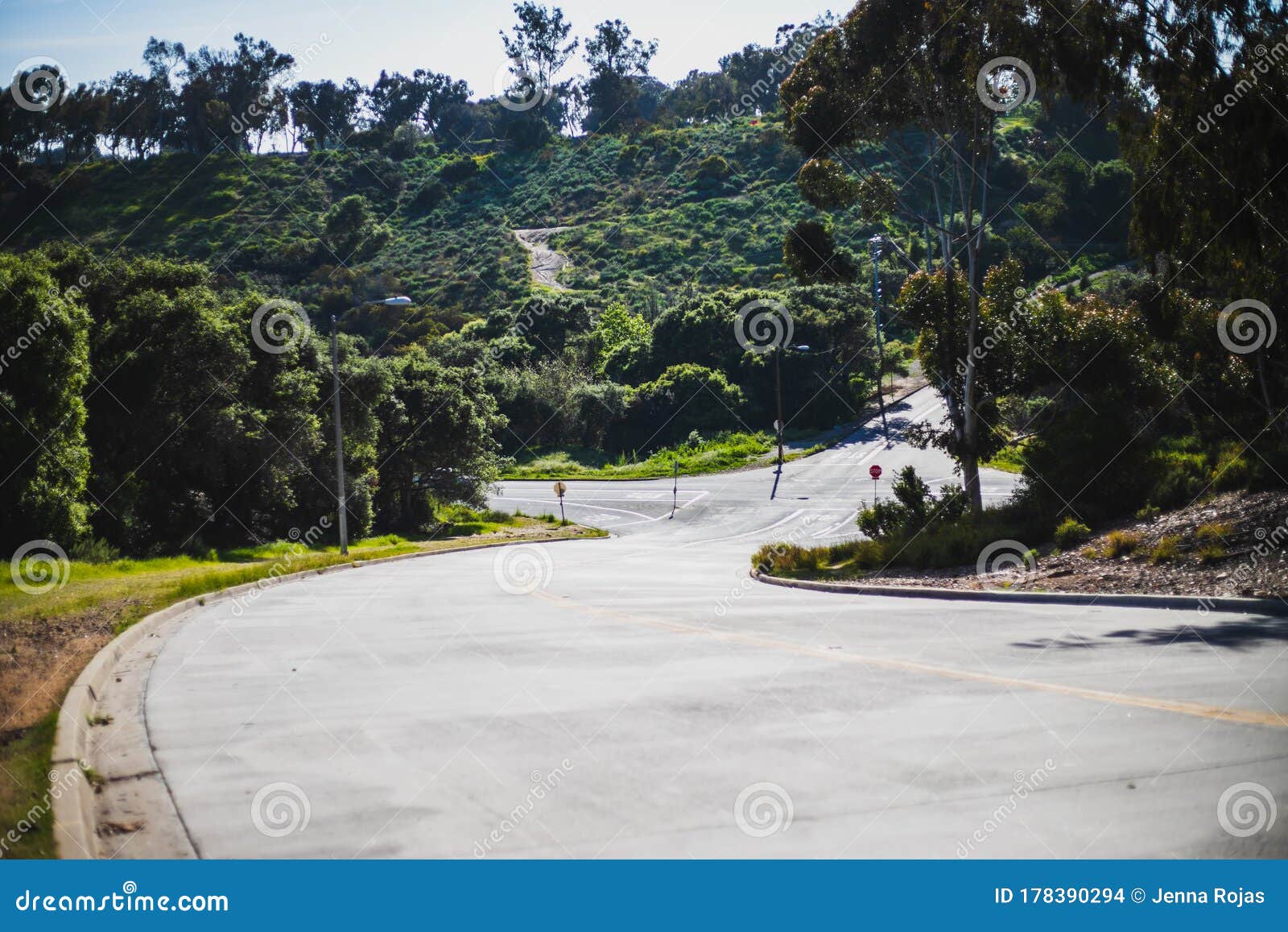 Isolated Intersection Surrounded by Trees. Stock Photo - Image of ...