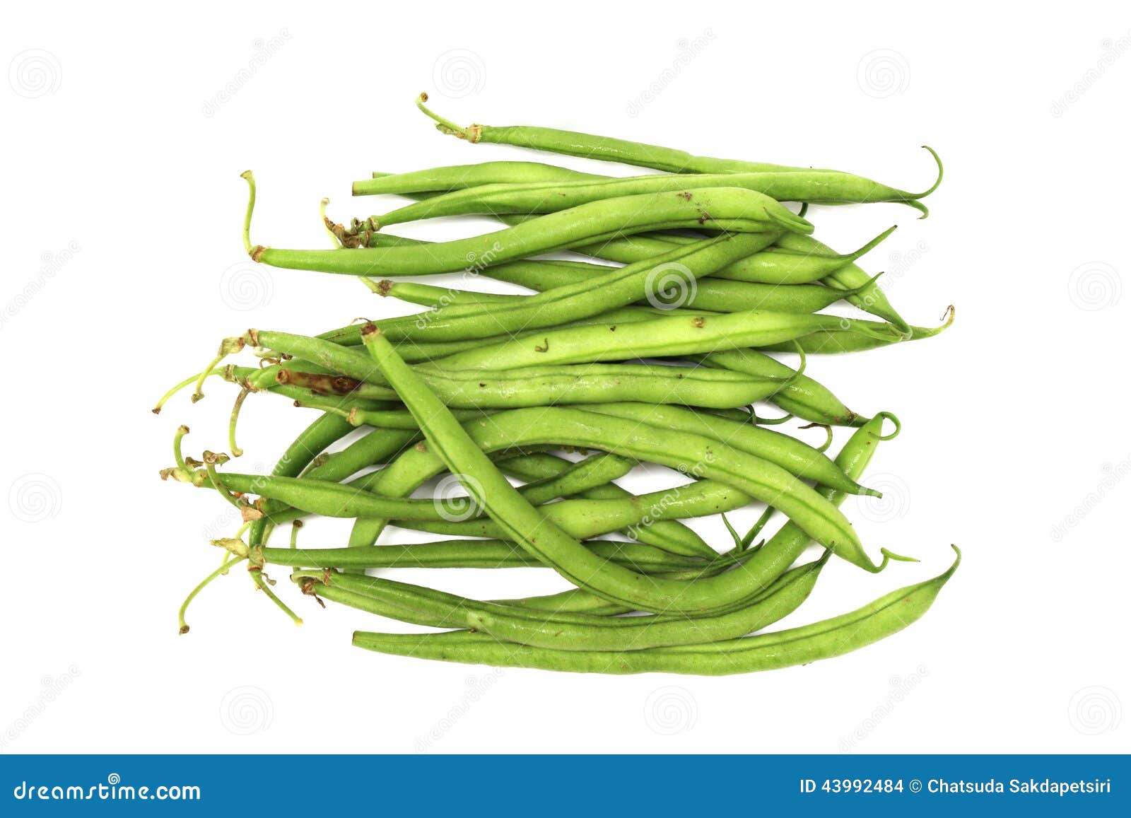 Isolated Japanese Green Beans Stock Photo - Image of food, legume: 43992484