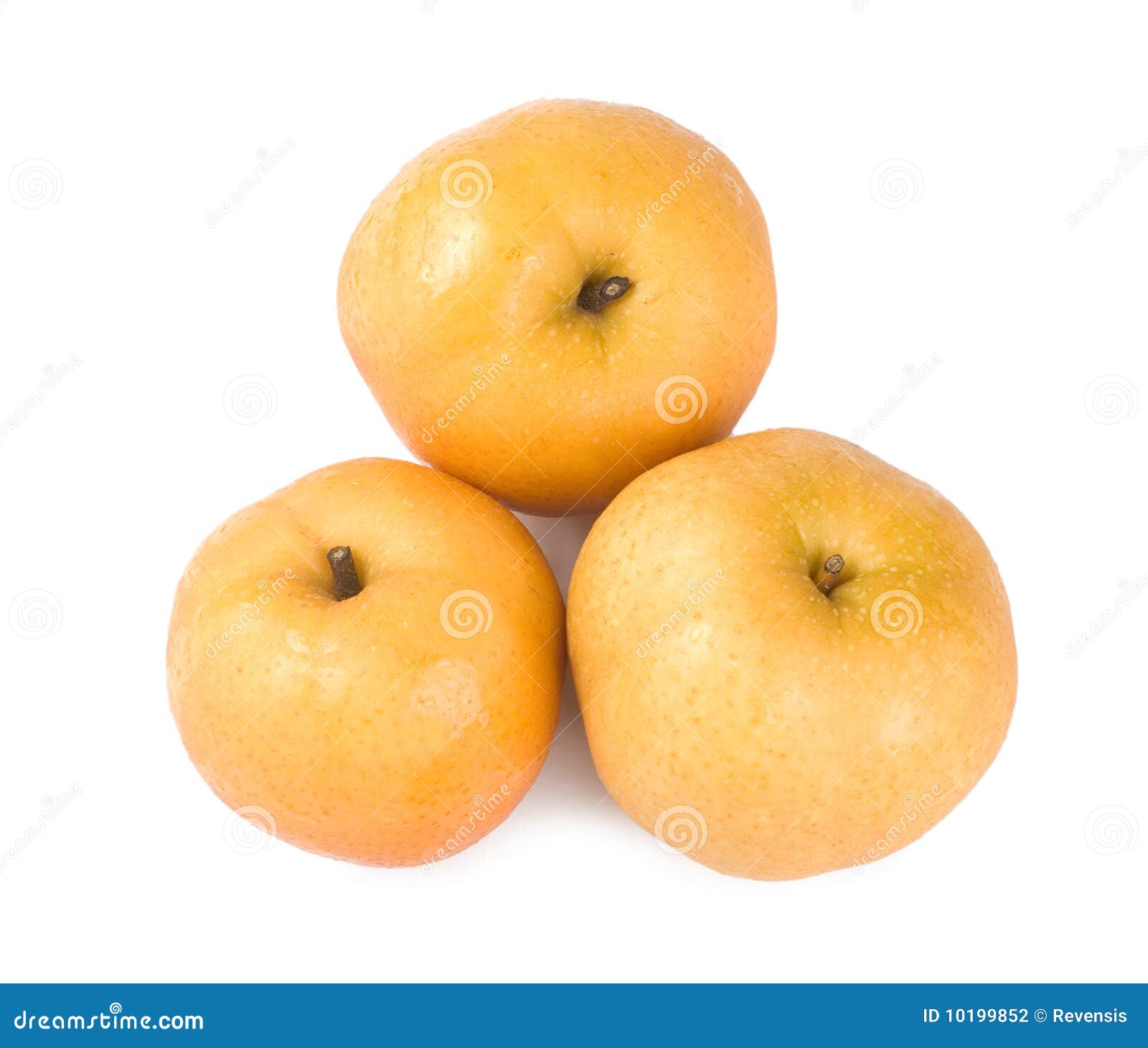 Isolated Japanese pear stock photo. Image of exotic, chinese - 10199852